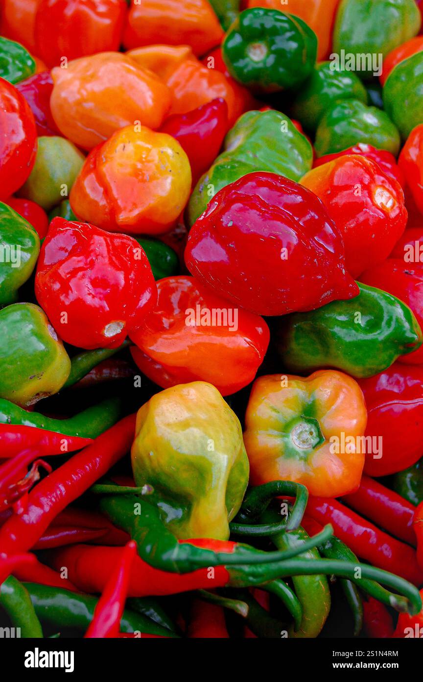 Chili peppers of varied colors and sizes can range from mild to hot in ...