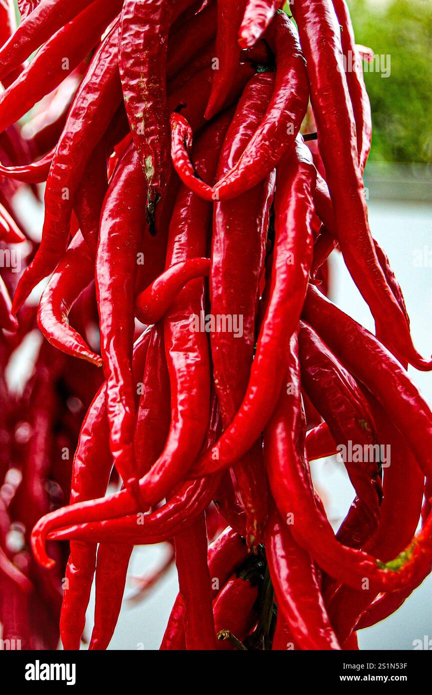 Chili peppers of varied colors and sizes can range from mild to hot in ...