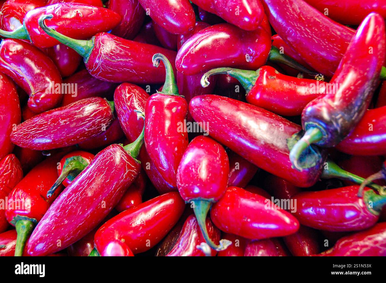 Chili peppers of varied colors and sizes can range from mild to hot in ...