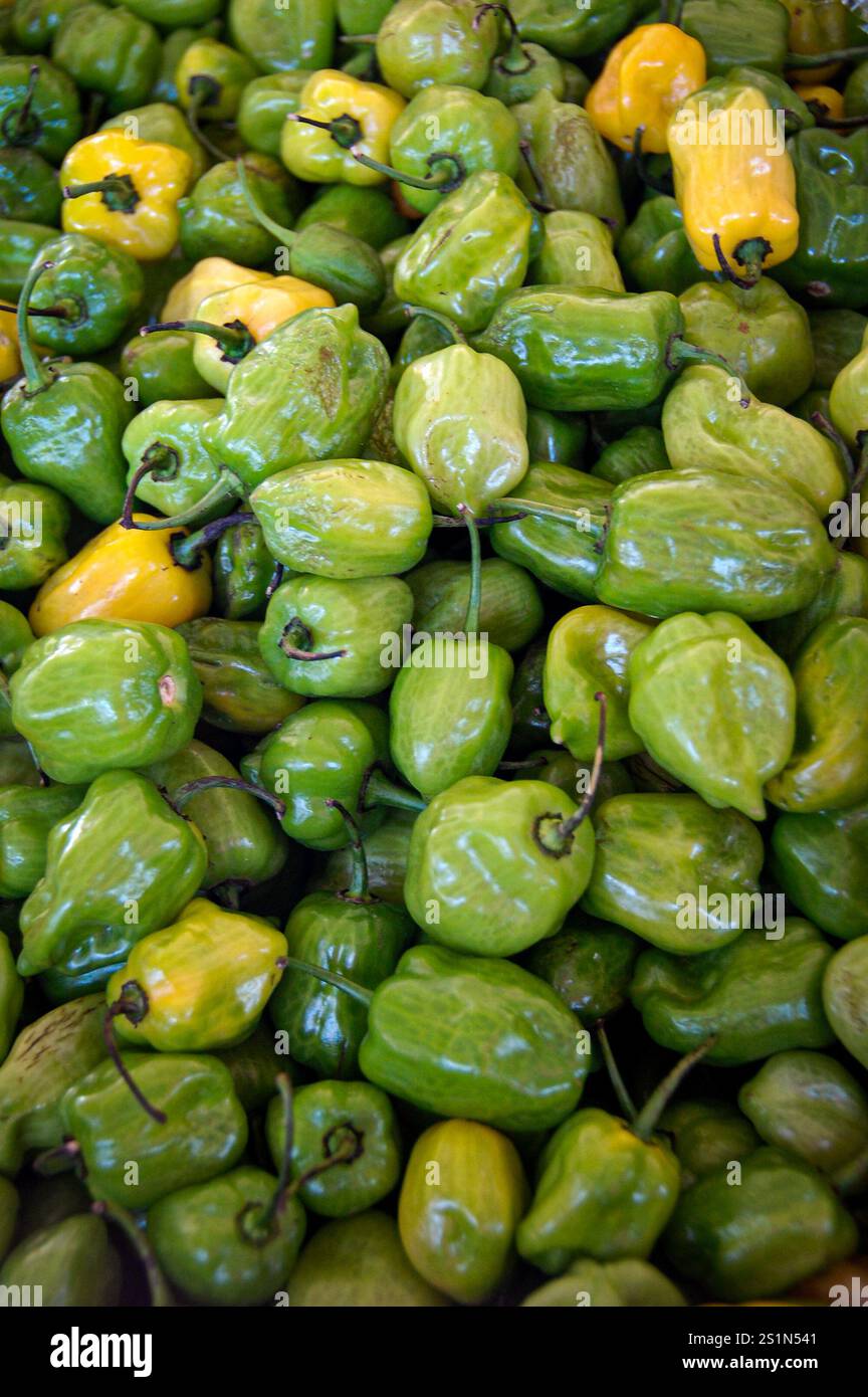 Chili peppers of varied colors and sizes can range from mild to hot in ...