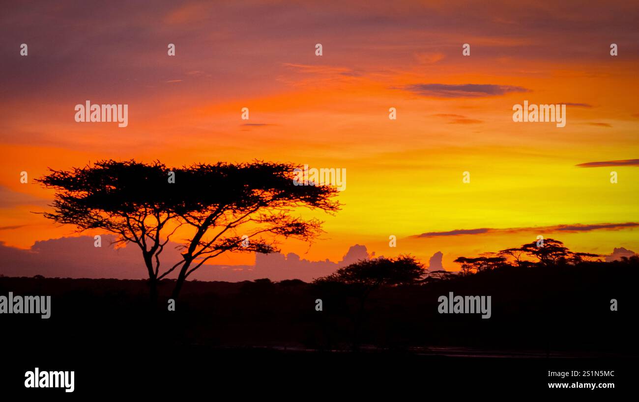 African sunsets hi-res stock photography and images - Alamy
