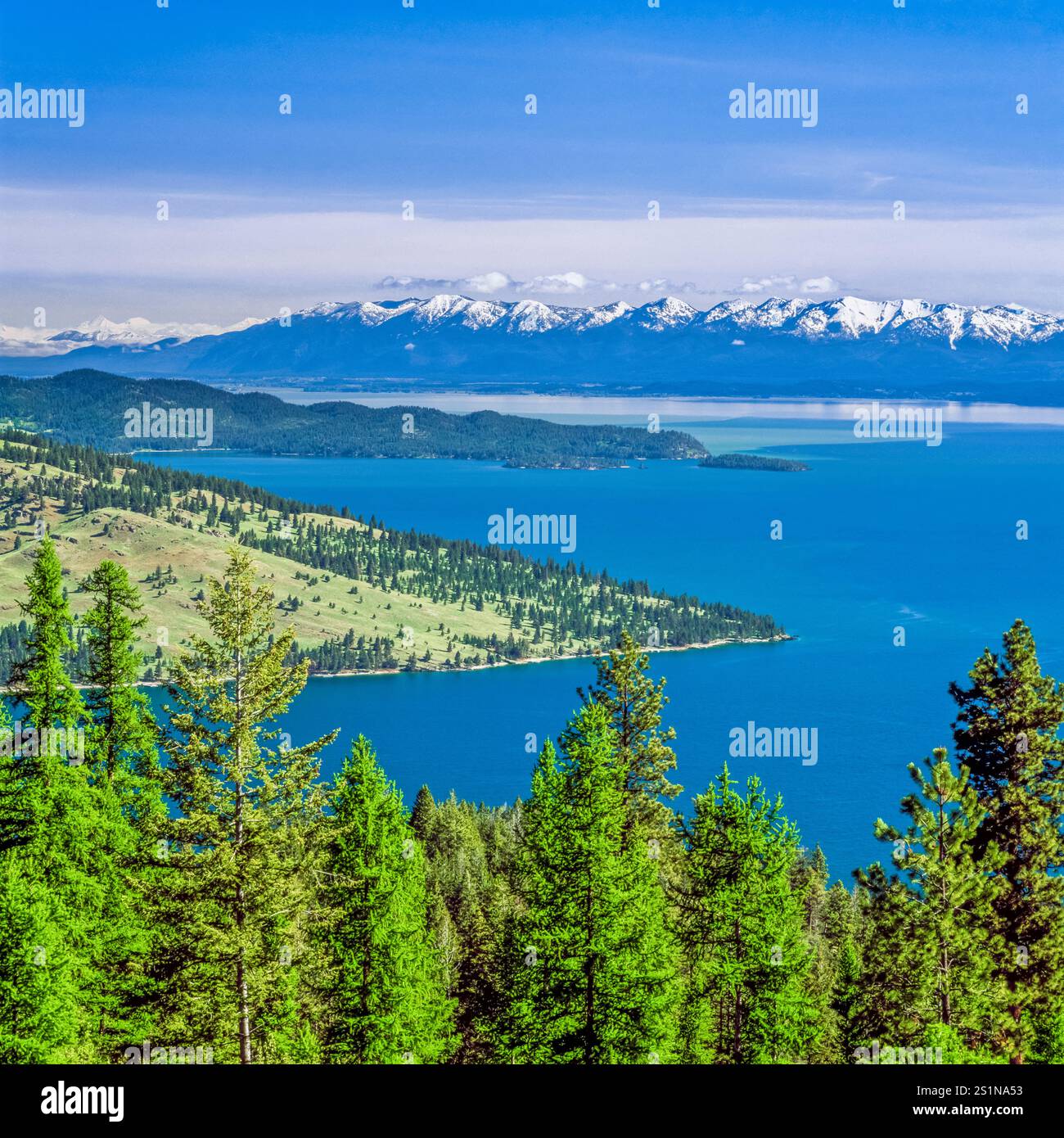 flathead lake and the mission mountains viewed from hills near elmo ...