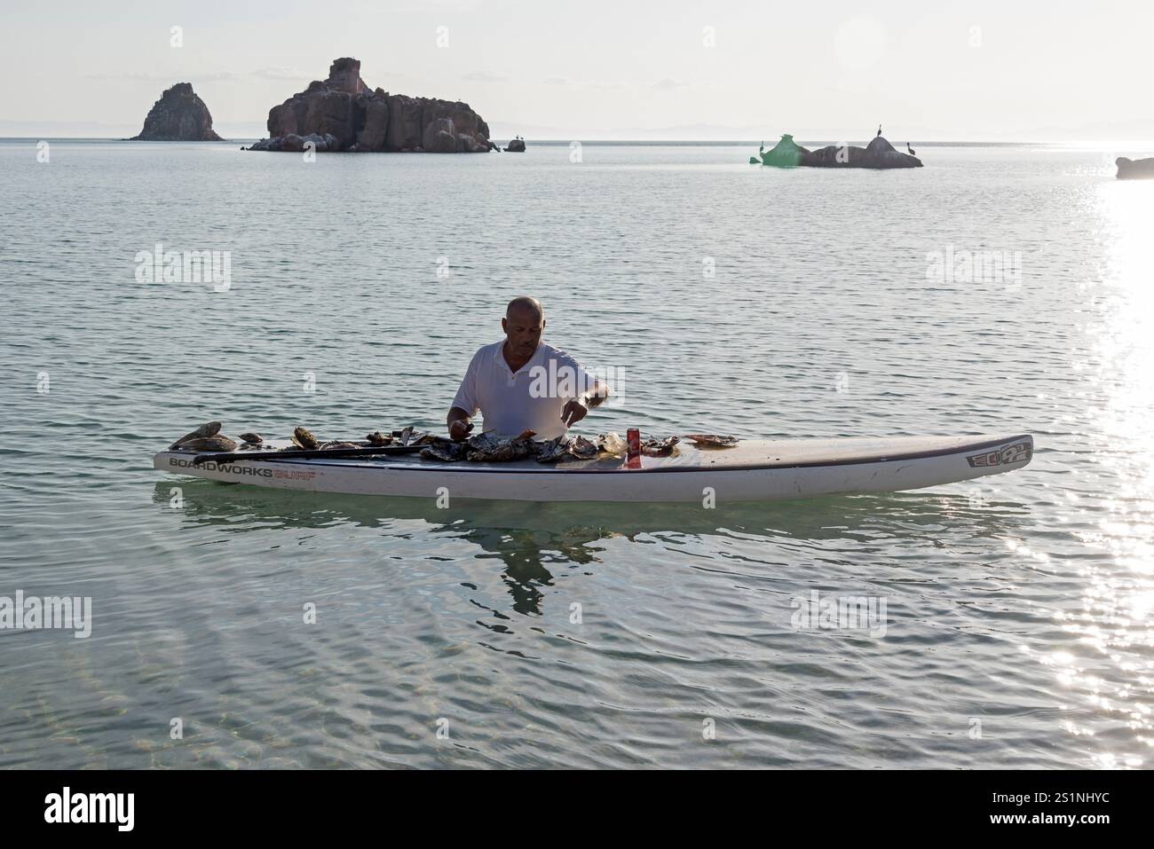 Fisherman capturing shells at El Candelero Beach, Espíritu Santo island ...