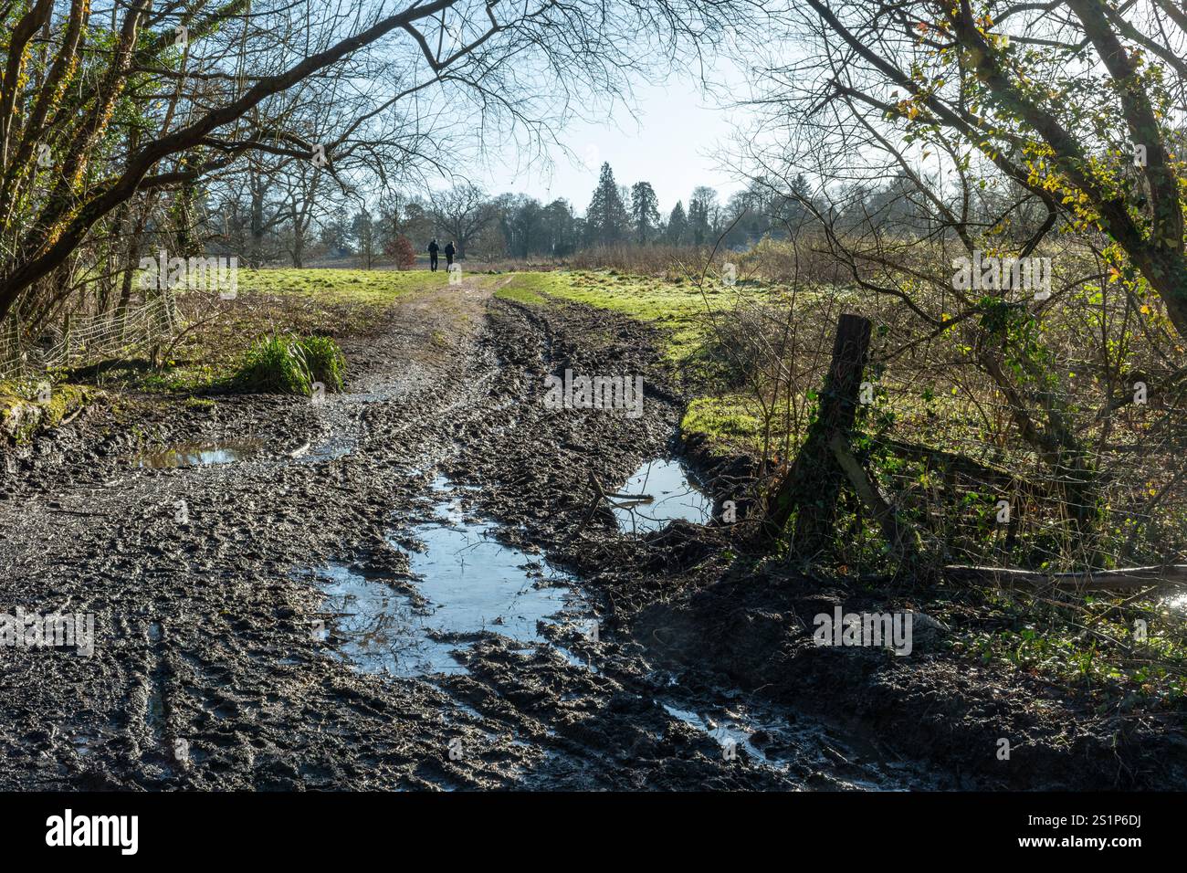 Entrance muddy wet field hi-res stock photography and images - Alamy