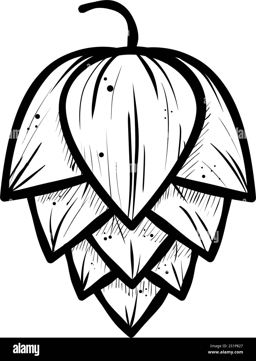 hop cone - retro vector illustration Stock Vector Image & Art - Alamy