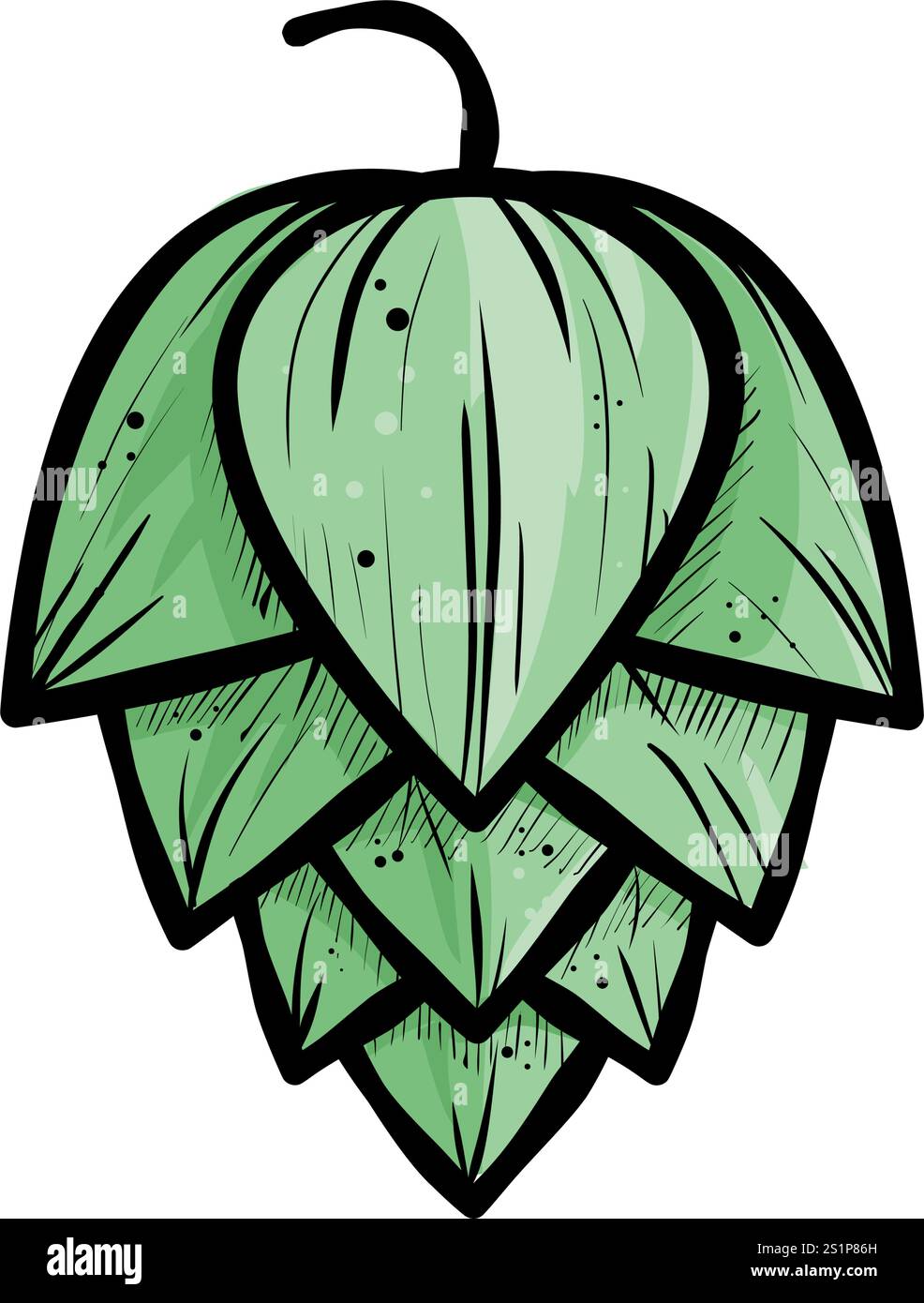 hop cone - retro vector illustration Stock Vector Image & Art - Alamy