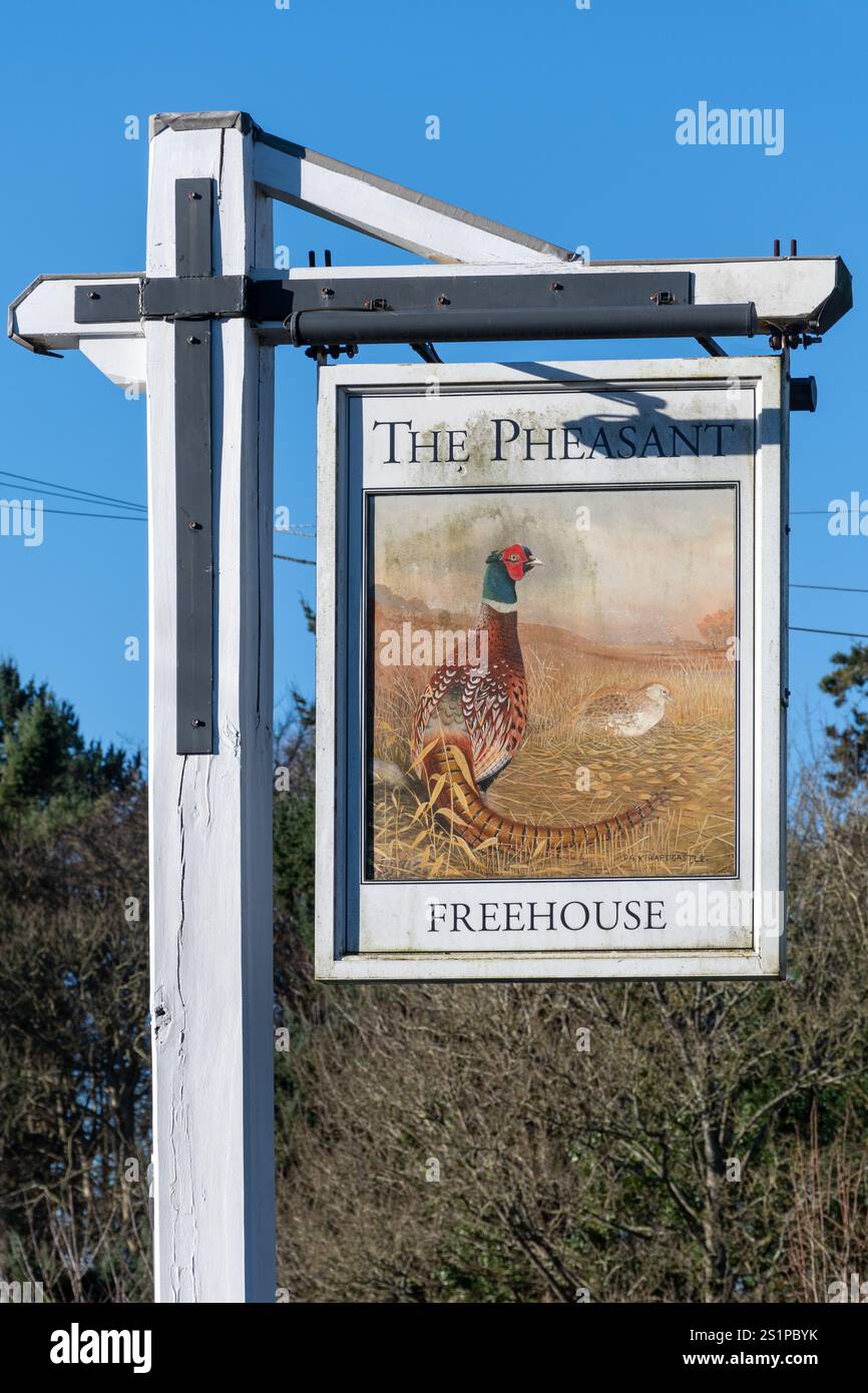 The Pheasant at Buckland pub sign, a village in East Surrey, England ...