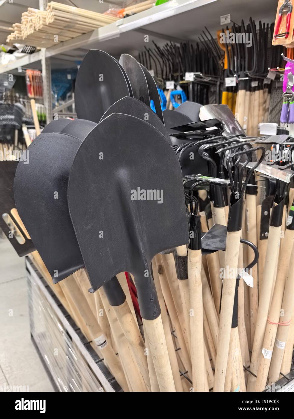 Shovels and gardening equipment stand neatly arranged on shelves in a ...