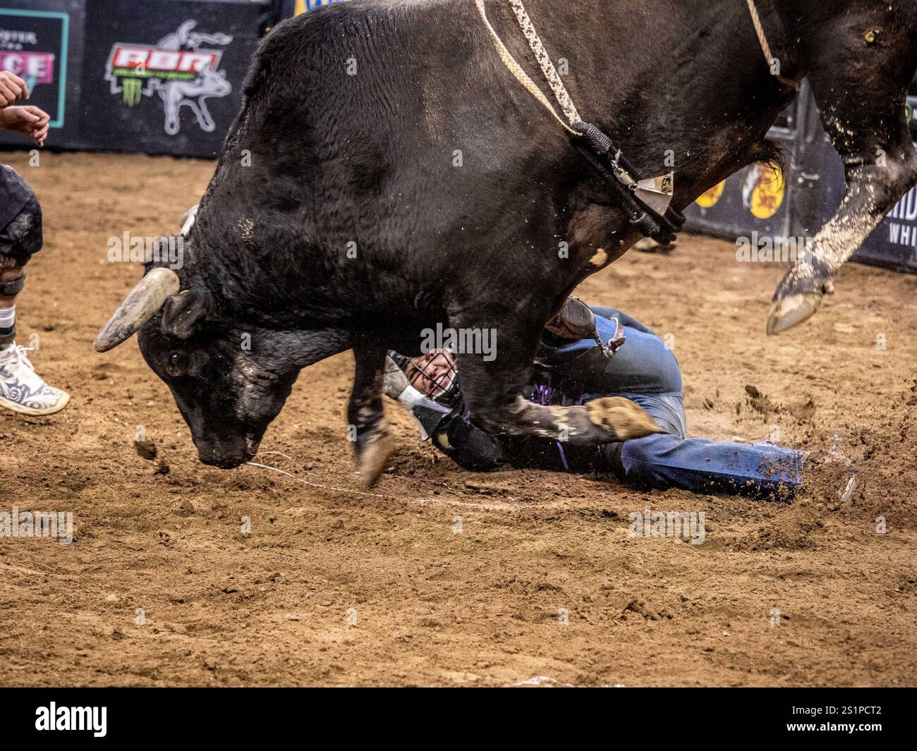 New York, New York, USA. 3rd Jan, 2025. PBR(Professional Bull Riding ...