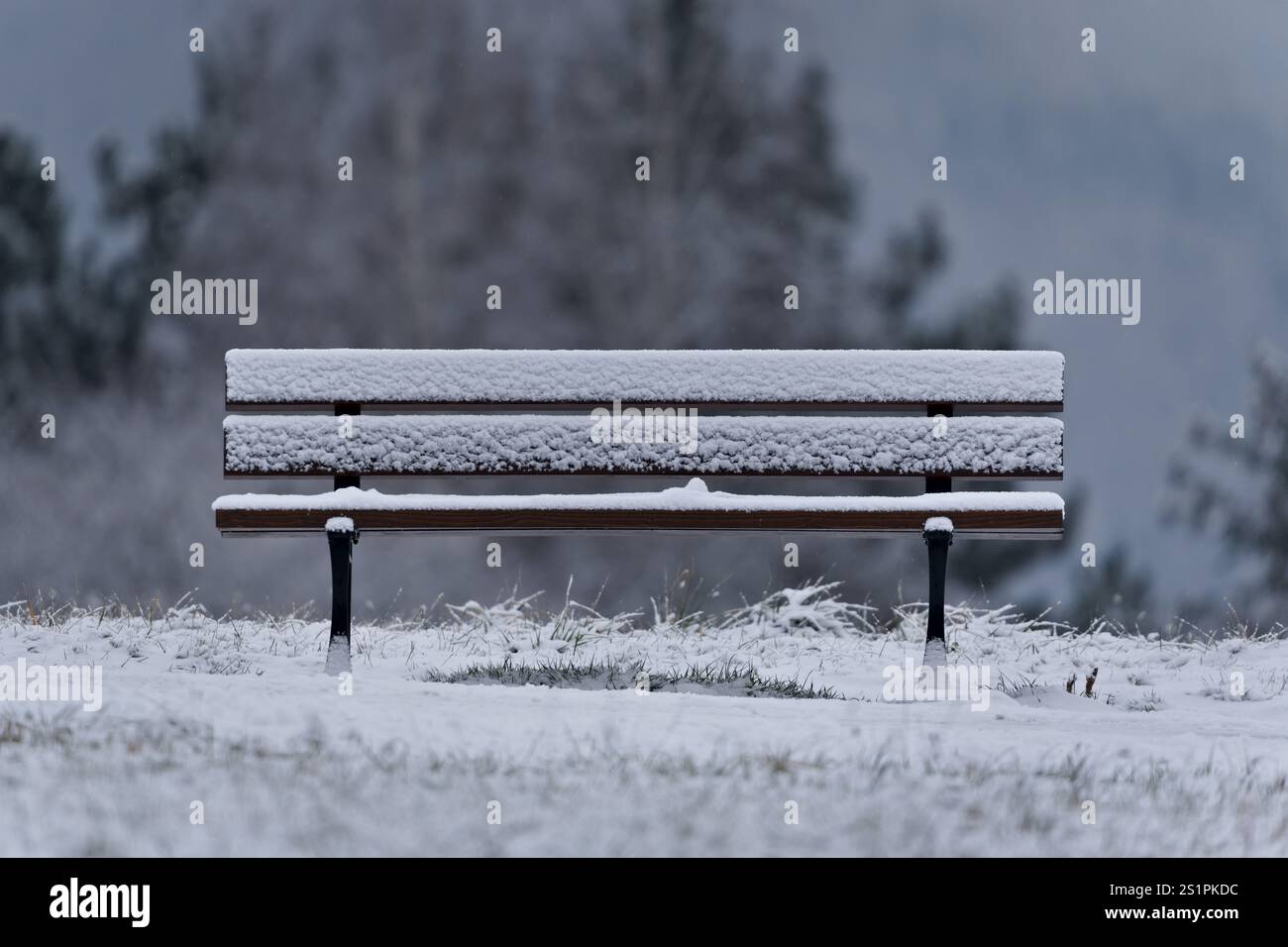 Empty outdoor bench seat in the park in winter. Covered by snow ...