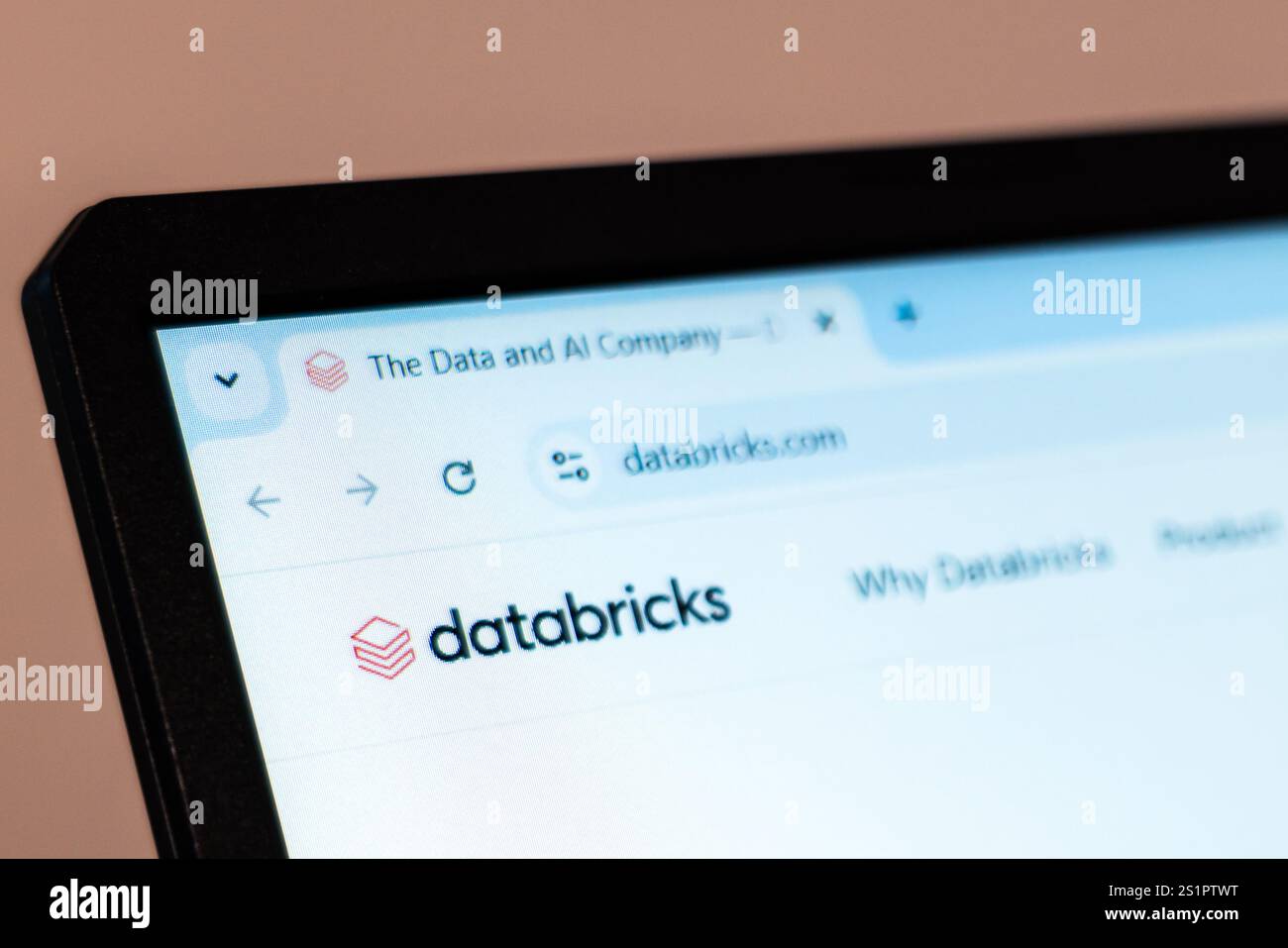 New York, USA - January 01, 2025: Databricks website homepage for data ...
