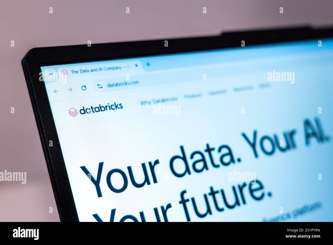 New York, USA - January 01, 2025: Databricks website homepage for data ...