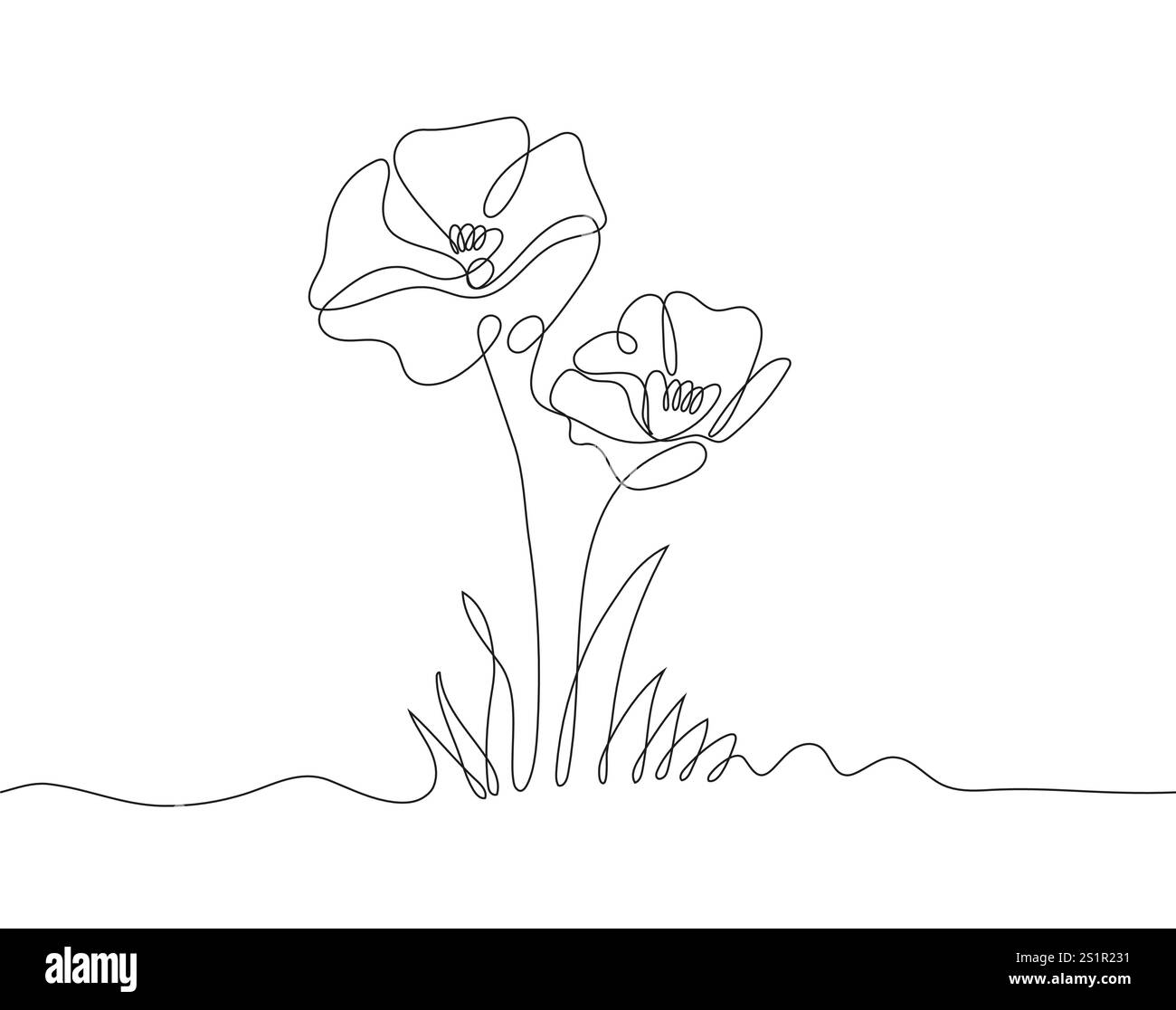 Continuous line drawing of two poppies growing in grass, symbolizing ...
