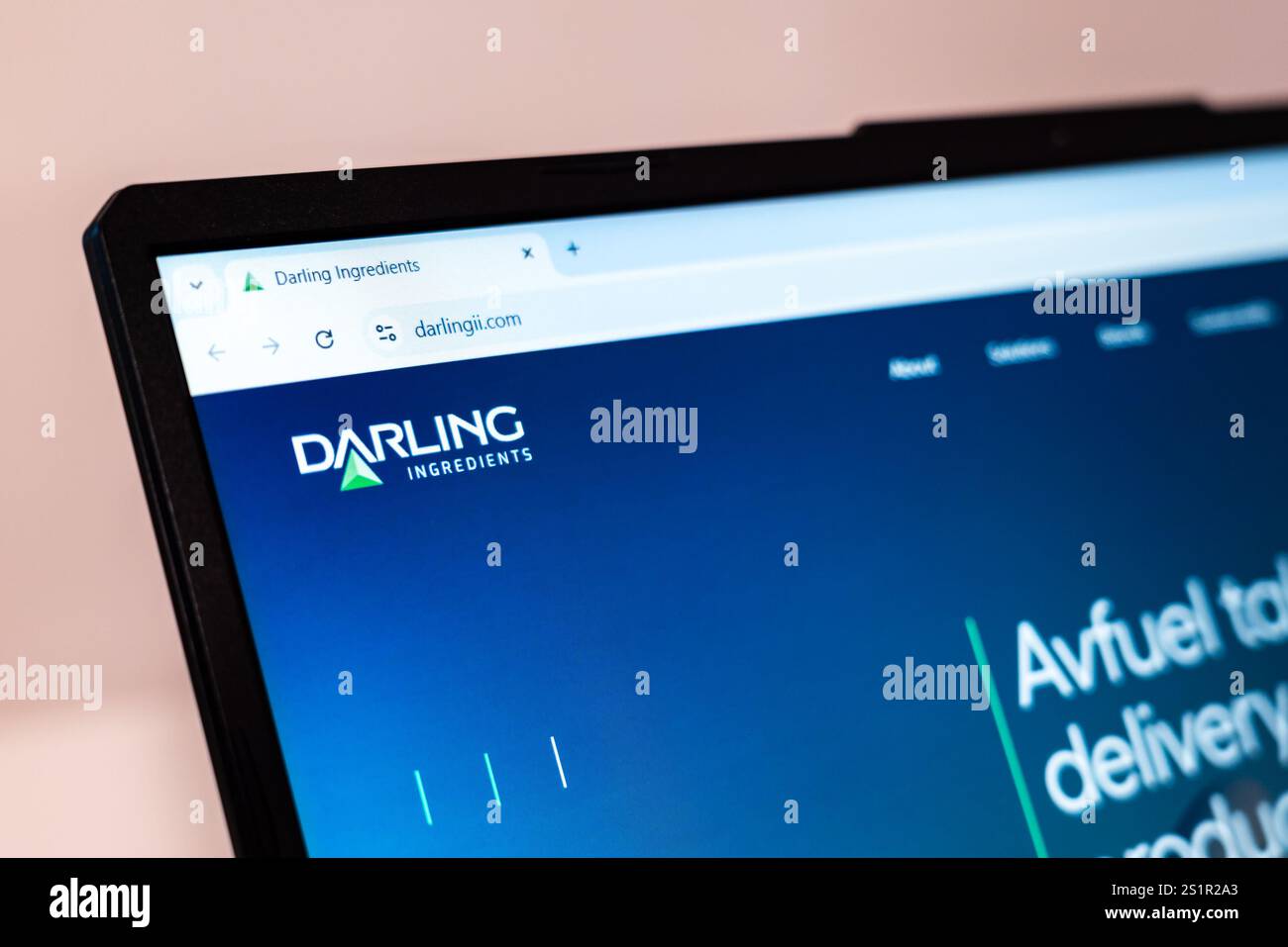New York, USA - January 01, 2025: Darling Ingredients website displayed ...
