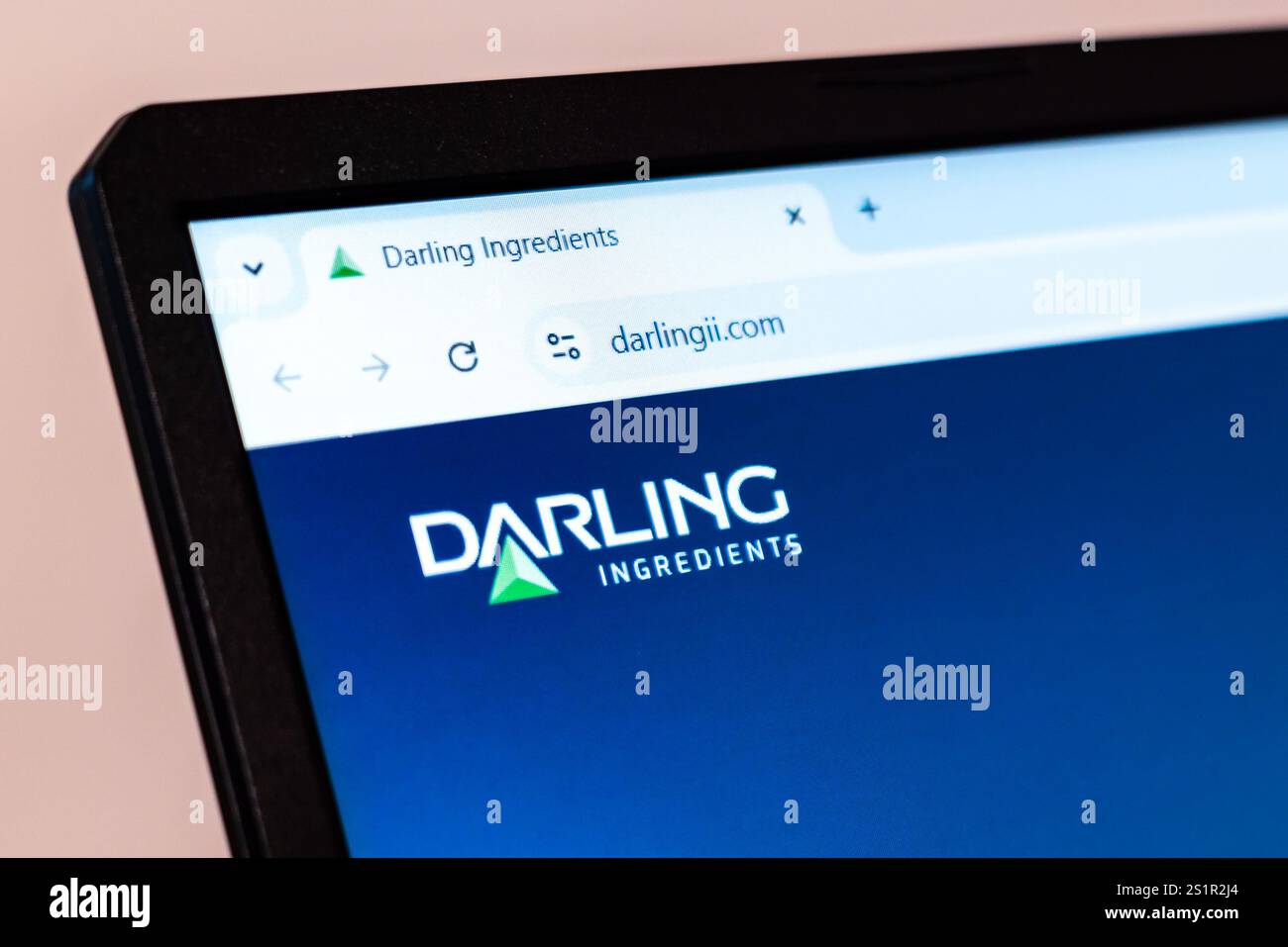 New York, USA - January 01, 2025: Darling Ingredients website displayed ...
