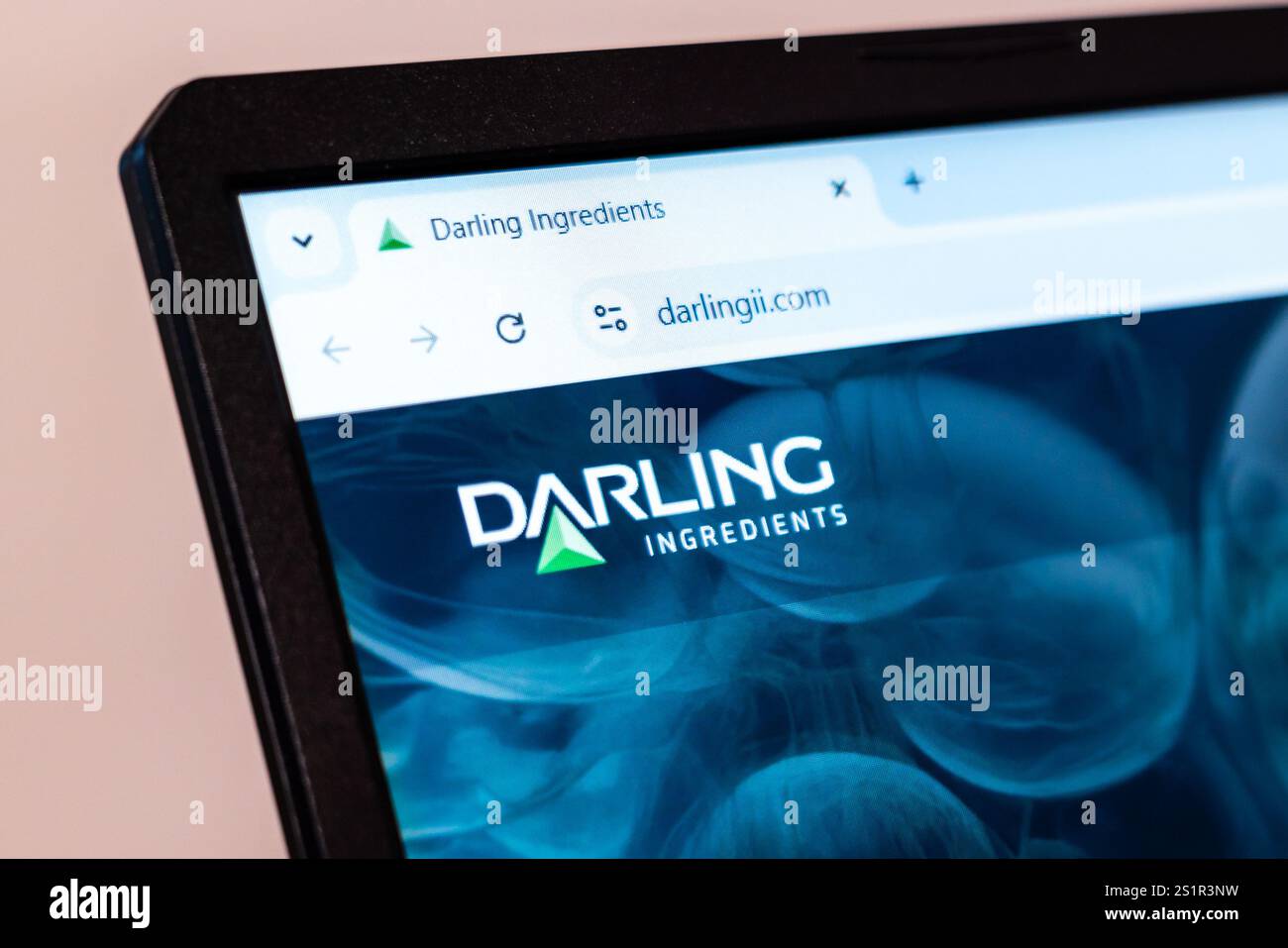 New York, USA - January 01, 2025: Darling Ingredients website displayed ...