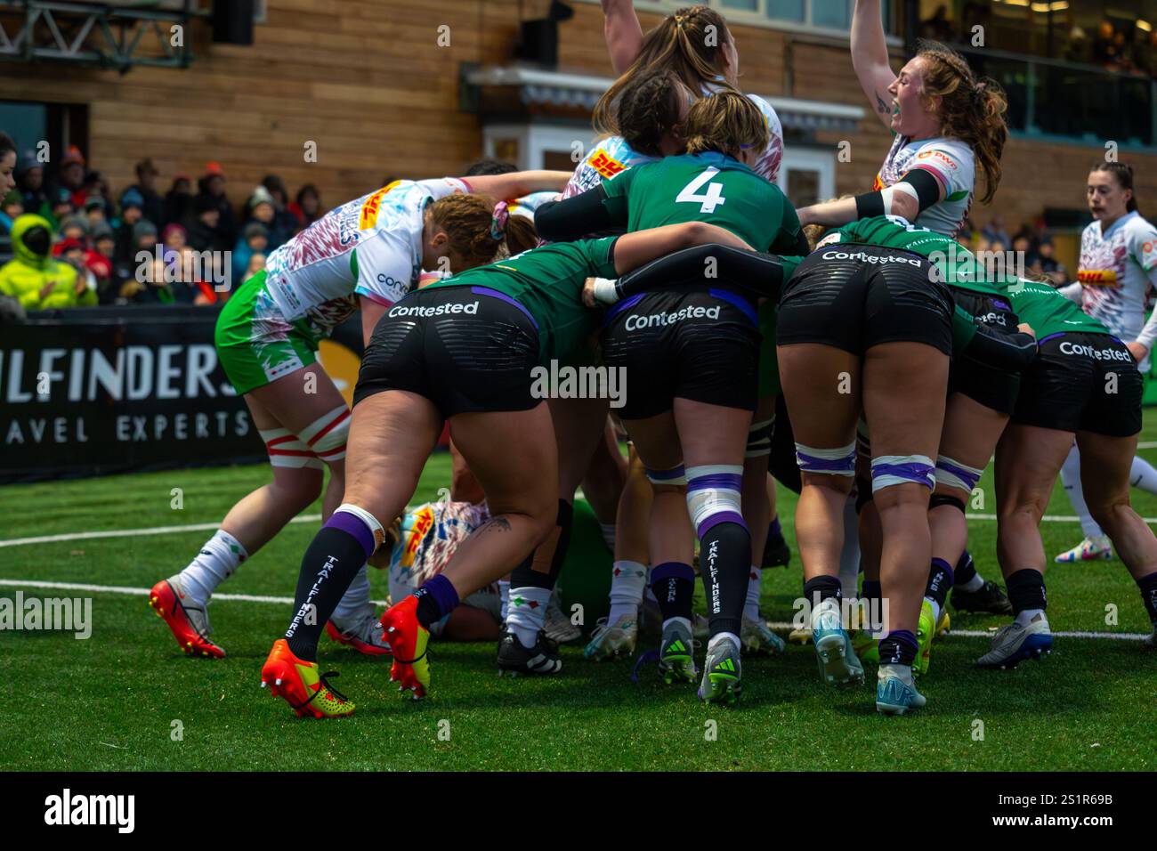 London, UK. 4th Jan, 2025. Harlequins celebrate as hooker (on floor ...