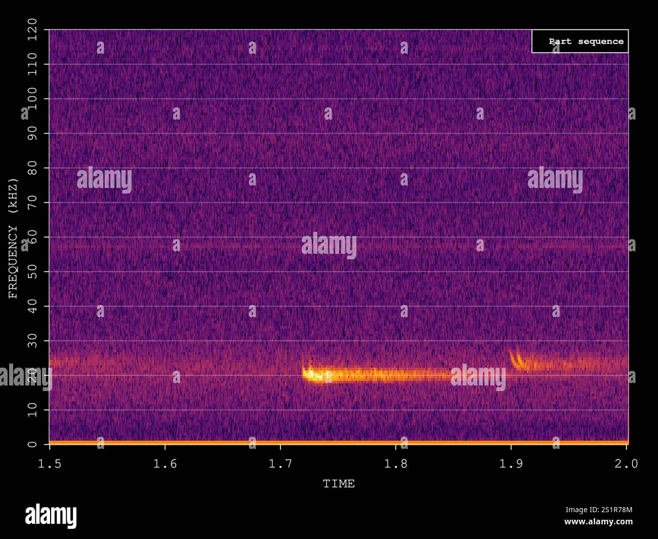 Common Noctule (Nyctalus noctula Stock Photo - Alamy