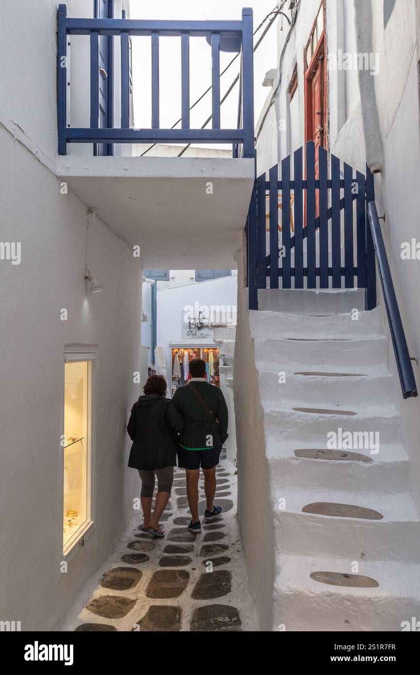 Traditional Narrow Alleyway with Stone Path and Mediterranean ...