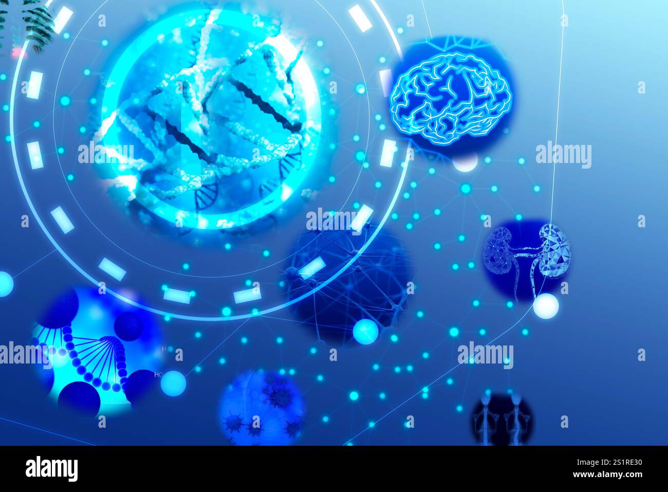 Medical technology. DNA, human brain, kidneys, virus, skeleton x-ray ...