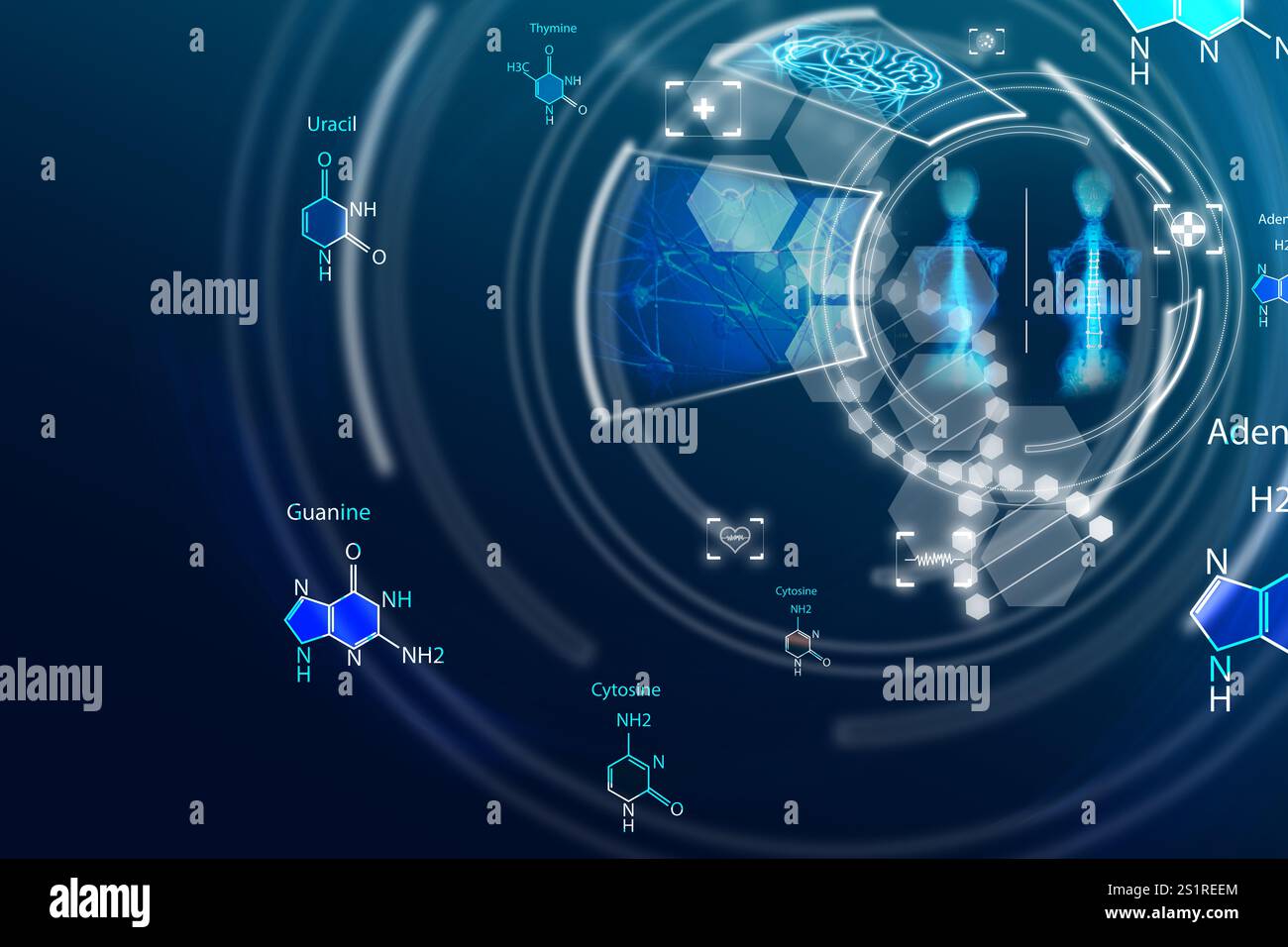 Medical technology. Human skeleton x-ray, DNA, brain, neural network ...