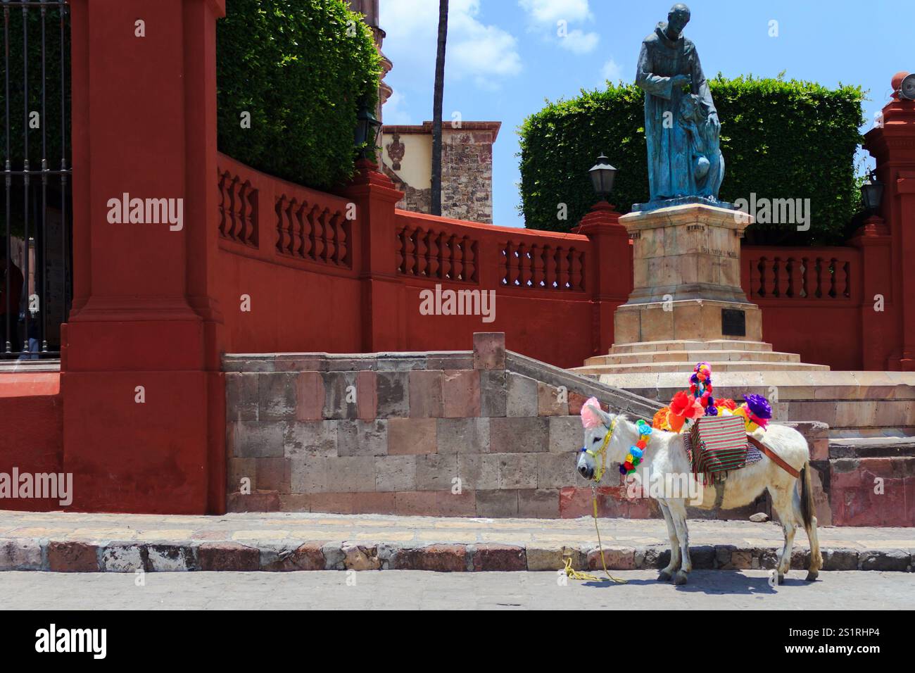 Portrait of a Traditional Donkey in a Historic Town Square, San Miguel ...