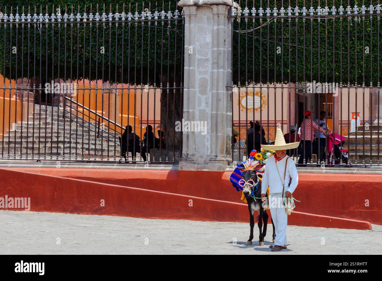 Traditional Mexican Scene with Man in Sombrero and Decorated Donkey ...
