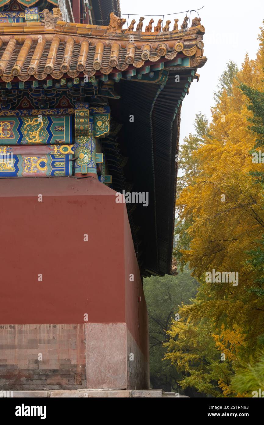 Red wall of the Forbidden city building behind green and yellow autumn ...