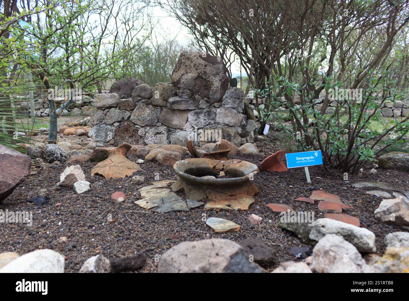 Ancient Archaeological Site Displaying Clay Shards and Stone ...