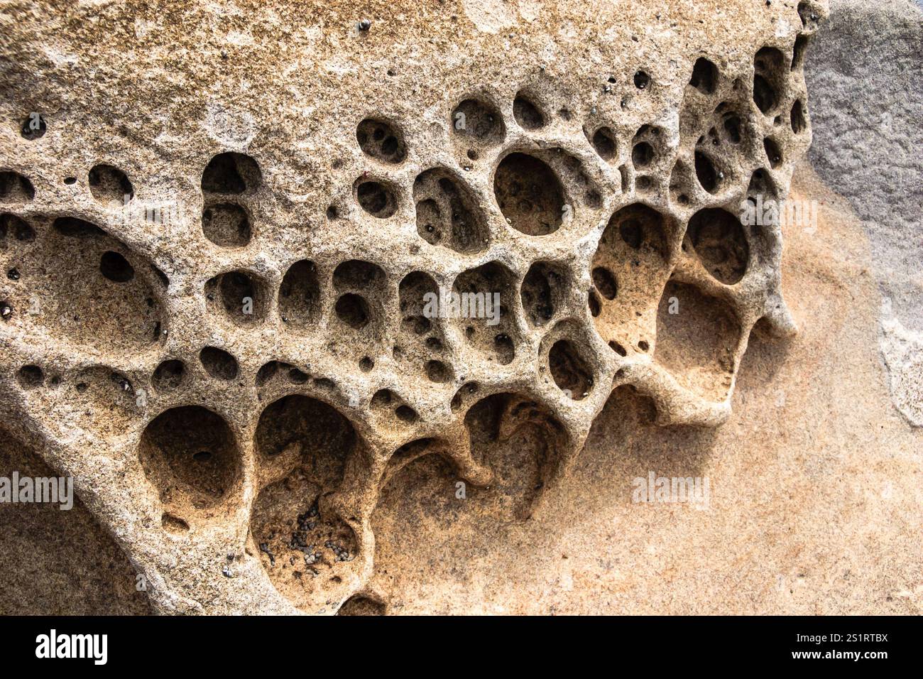 A large rock with many holes in it. The holes are of varying sizes and ...