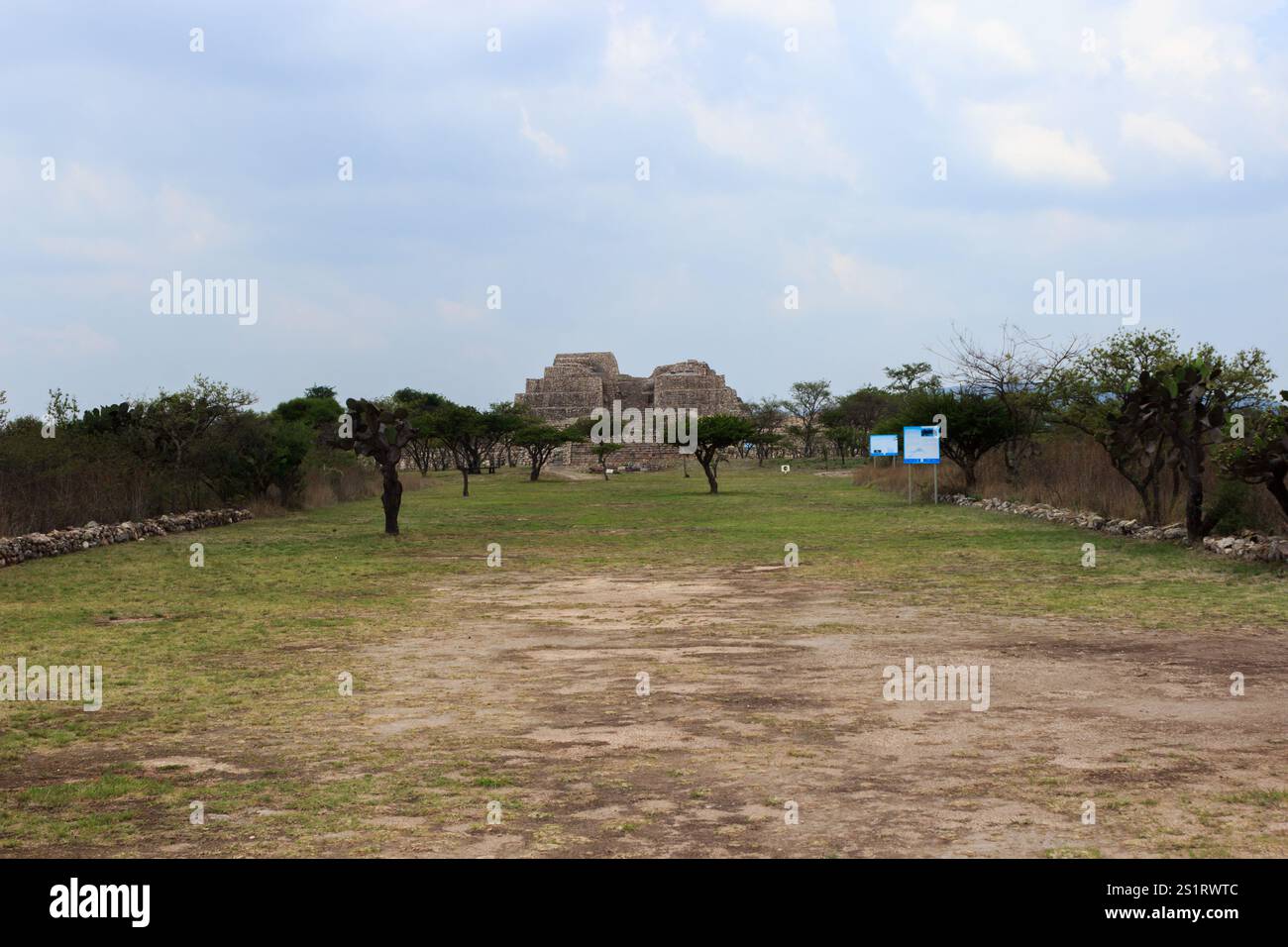 Ancient Mayan Site with Clear Sky and Surrounding Vegetation in Mexico ...