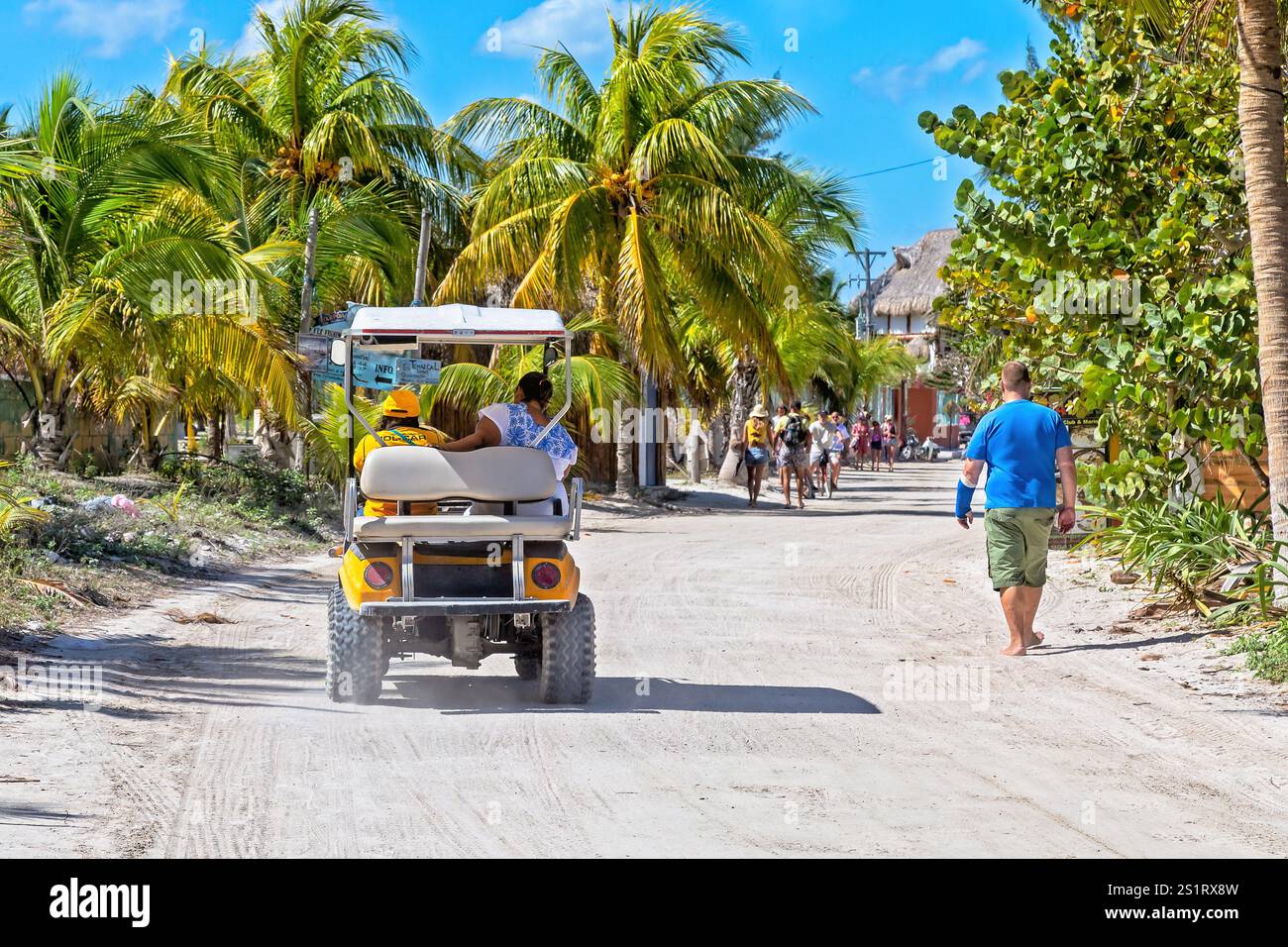 Rural Tropical Pathway With Golf Cart and Walkers Under Palm Trees ...