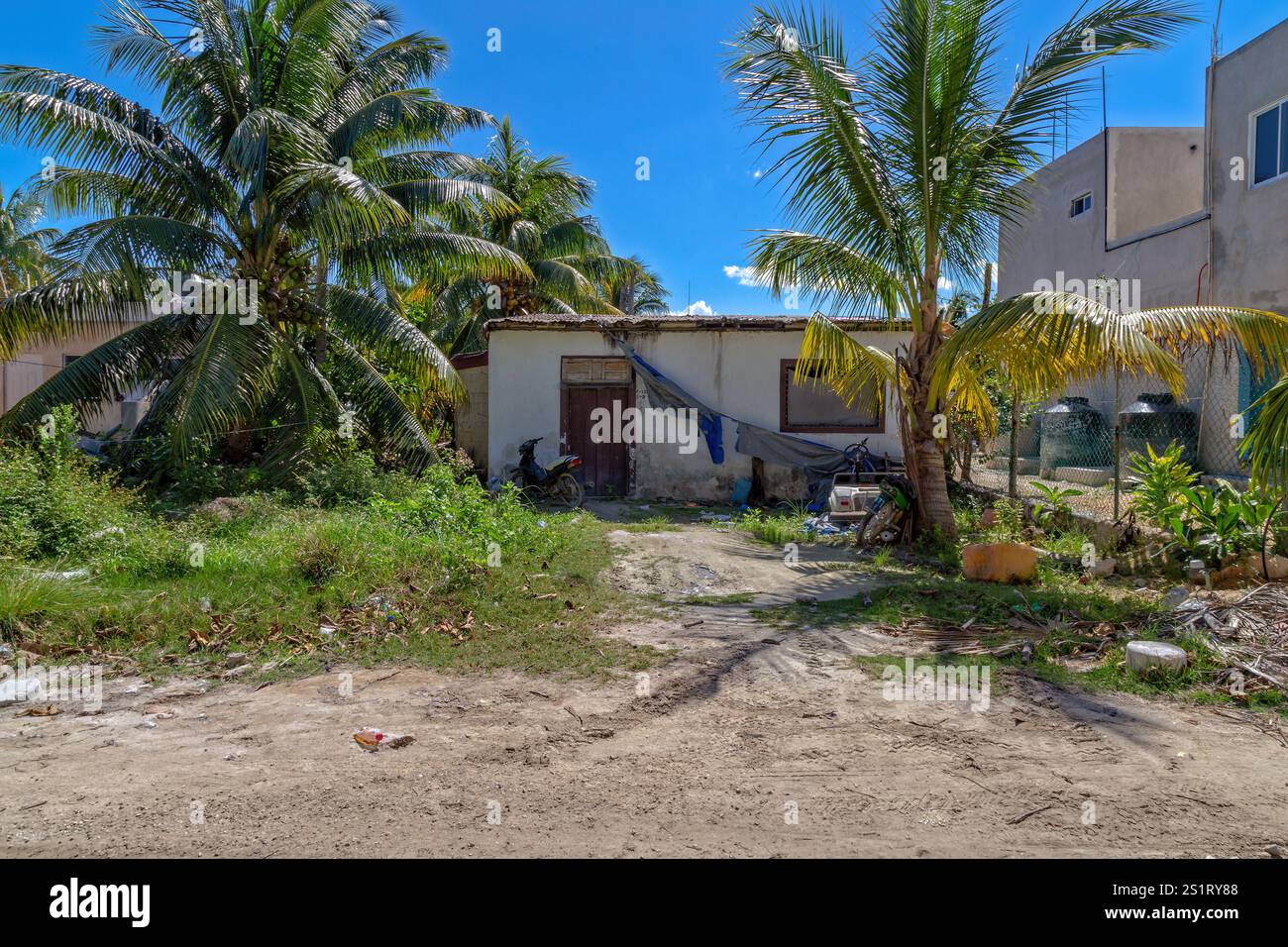 Blue sky tropical palm trees hi-res stock photography and images - Alamy