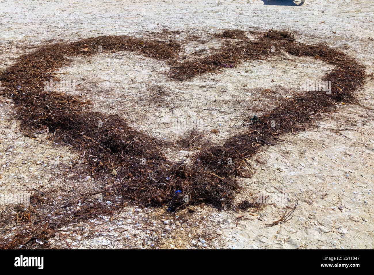 Heart Shape Formed with Natural Debris on a Sunlit Sandy Ground, Isla ...