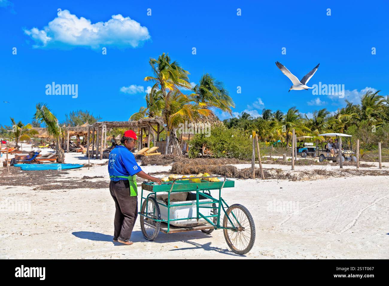 Beach Vendor Serving Refreshments Under a Clear Tropical Sky, Isla ...