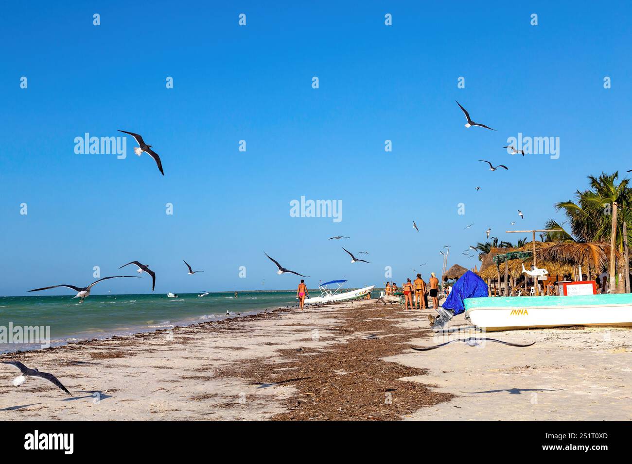 Holbox seashore hi-res stock photography and images - Alamy