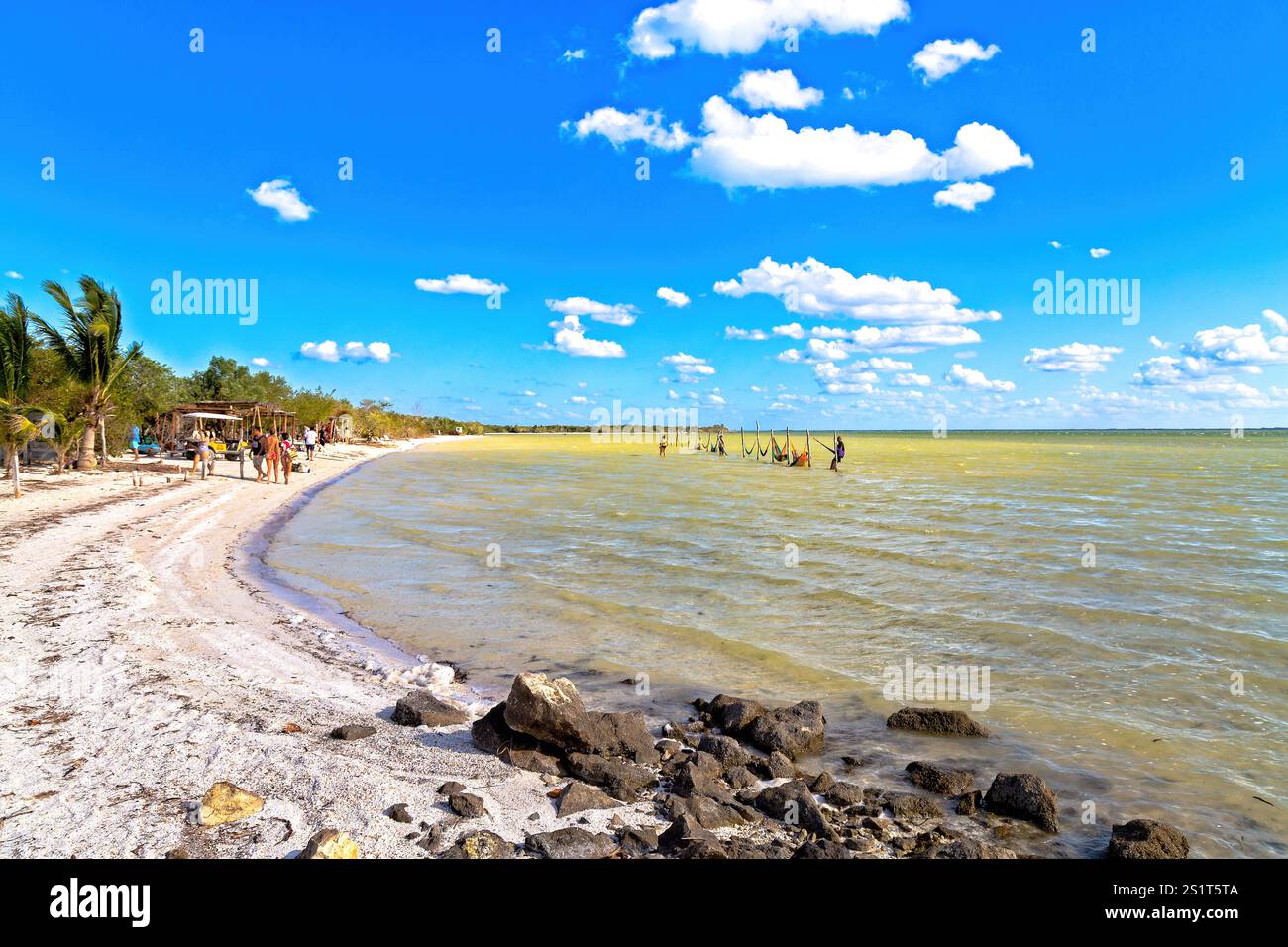 Scenic Tropical Beach With Palm Trees, Clear Sky, And Vibrant Waters ...