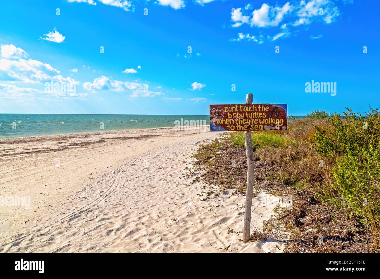 Safety sign beach hi-res stock photography and images - Alamy