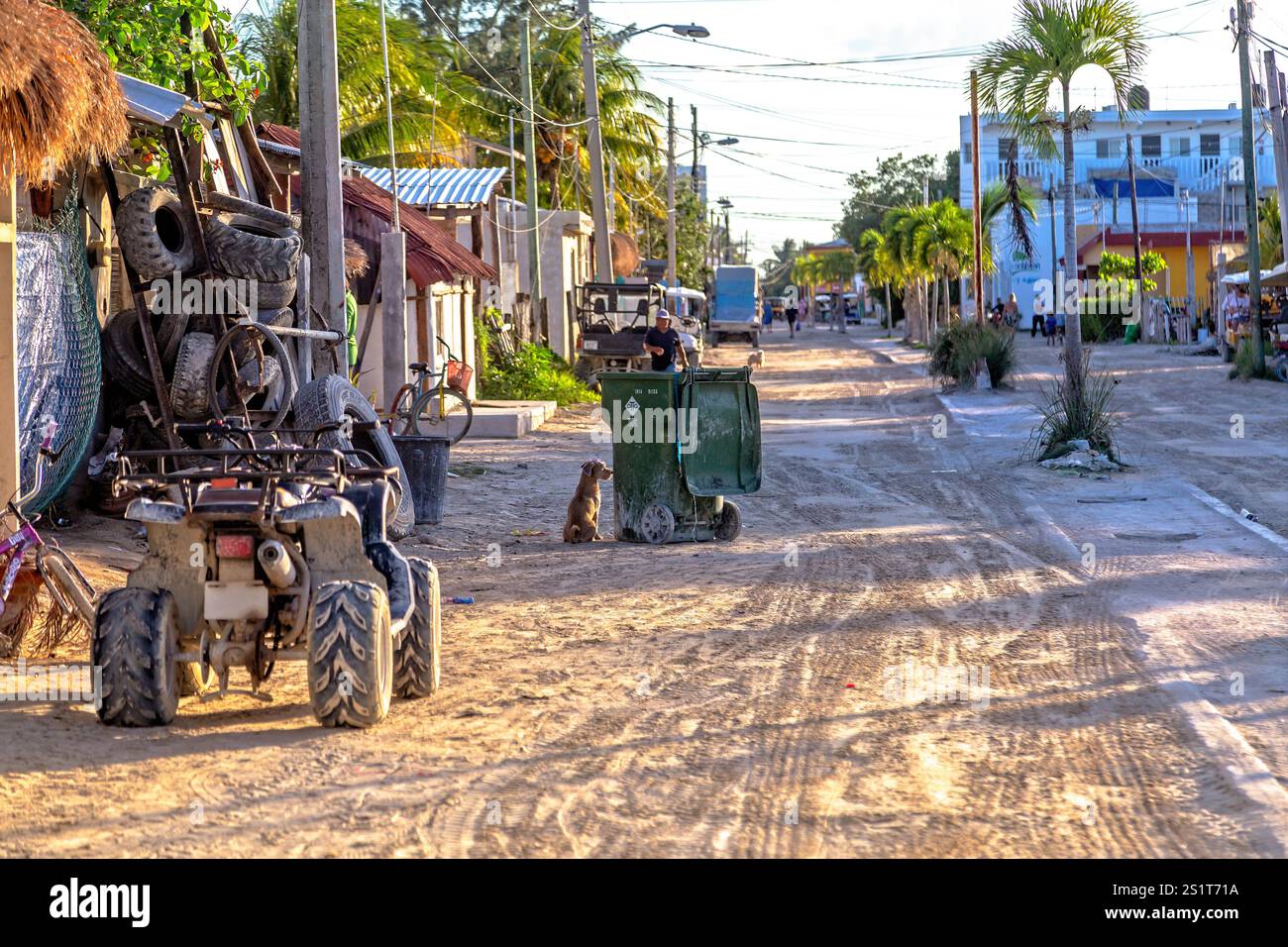 Rustic Village Street with Quad Bike and Palms in Warm Evening Light, Isla Holbox, Mexico Stock ...