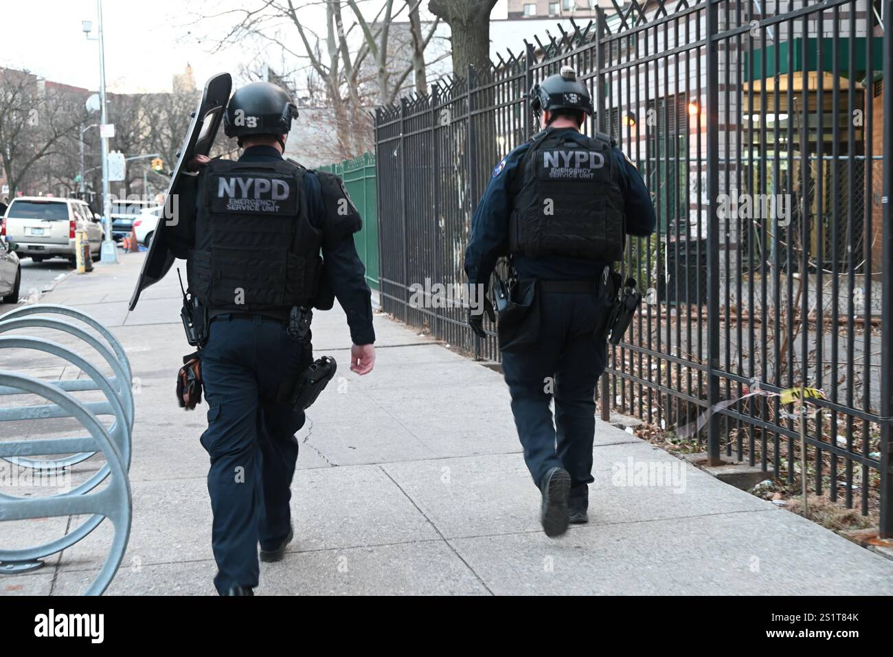 January 4, 2025, West Farms, Bronx, Deer: New york city police ...