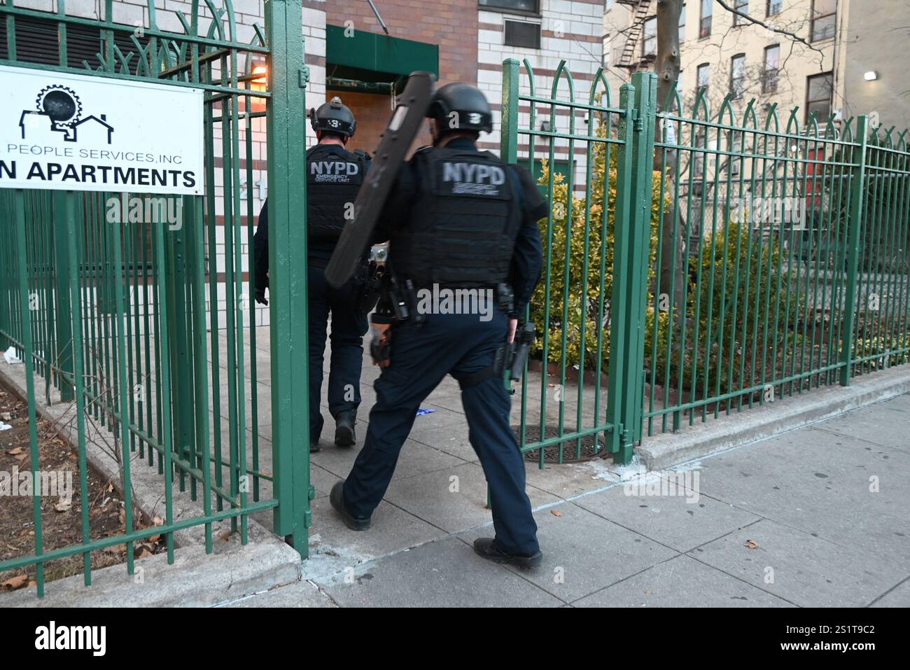 January 4, 2025, West Farms, Bronx, Deer: New york city police ...