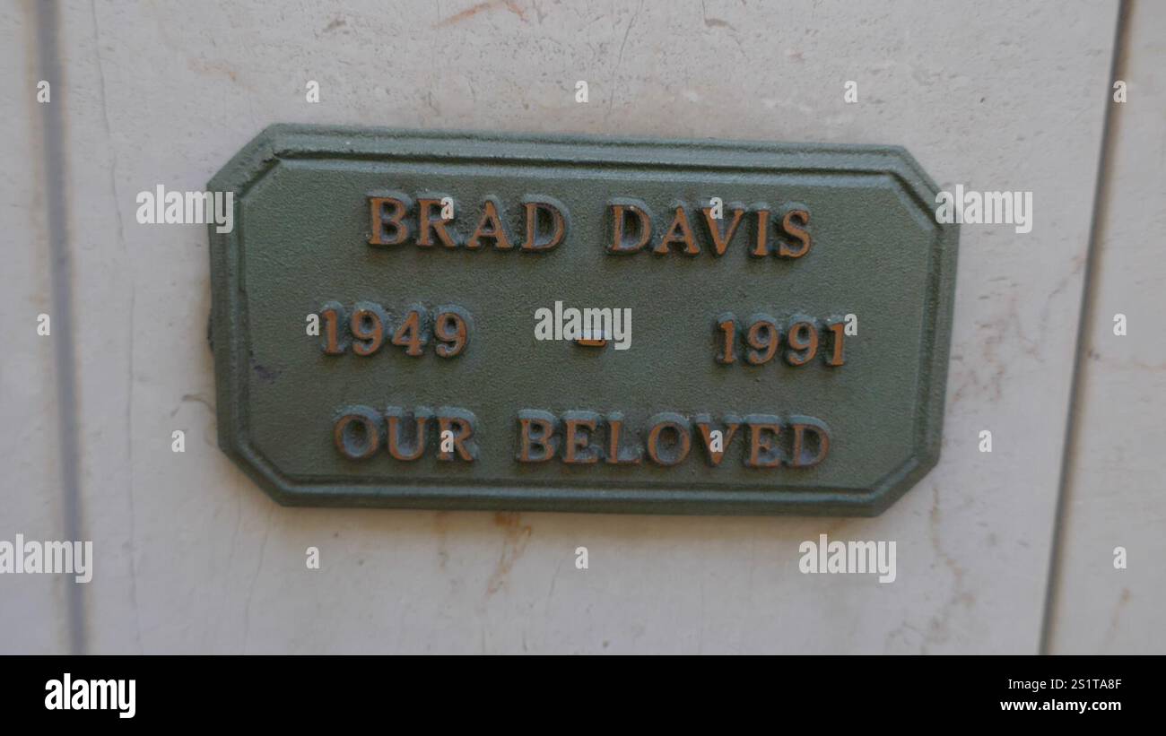 Los Angeles, California, USA 2nd January 2025 Actor Brad Davis Grave in ...