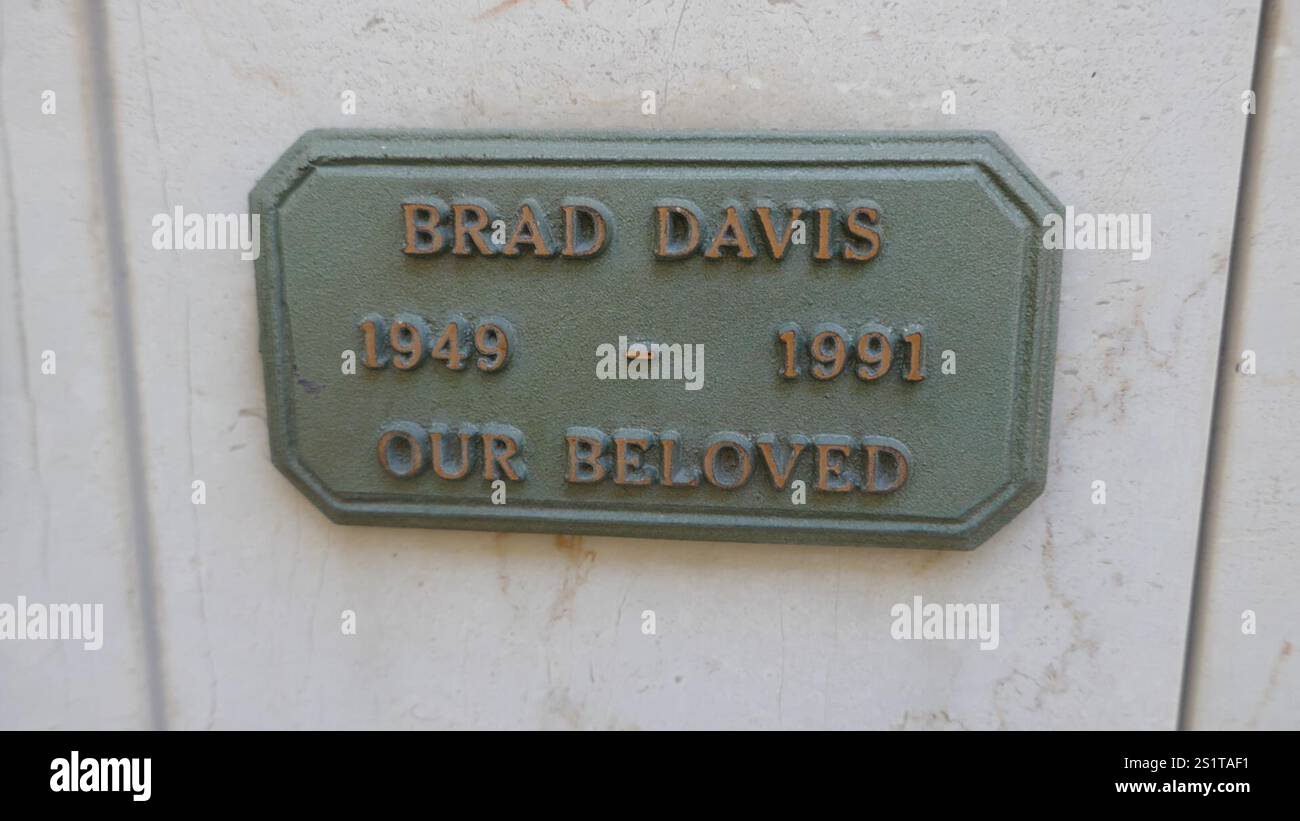 Los Angeles, California, USA 2nd January 2025 Actor Brad Davis Grave in ...
