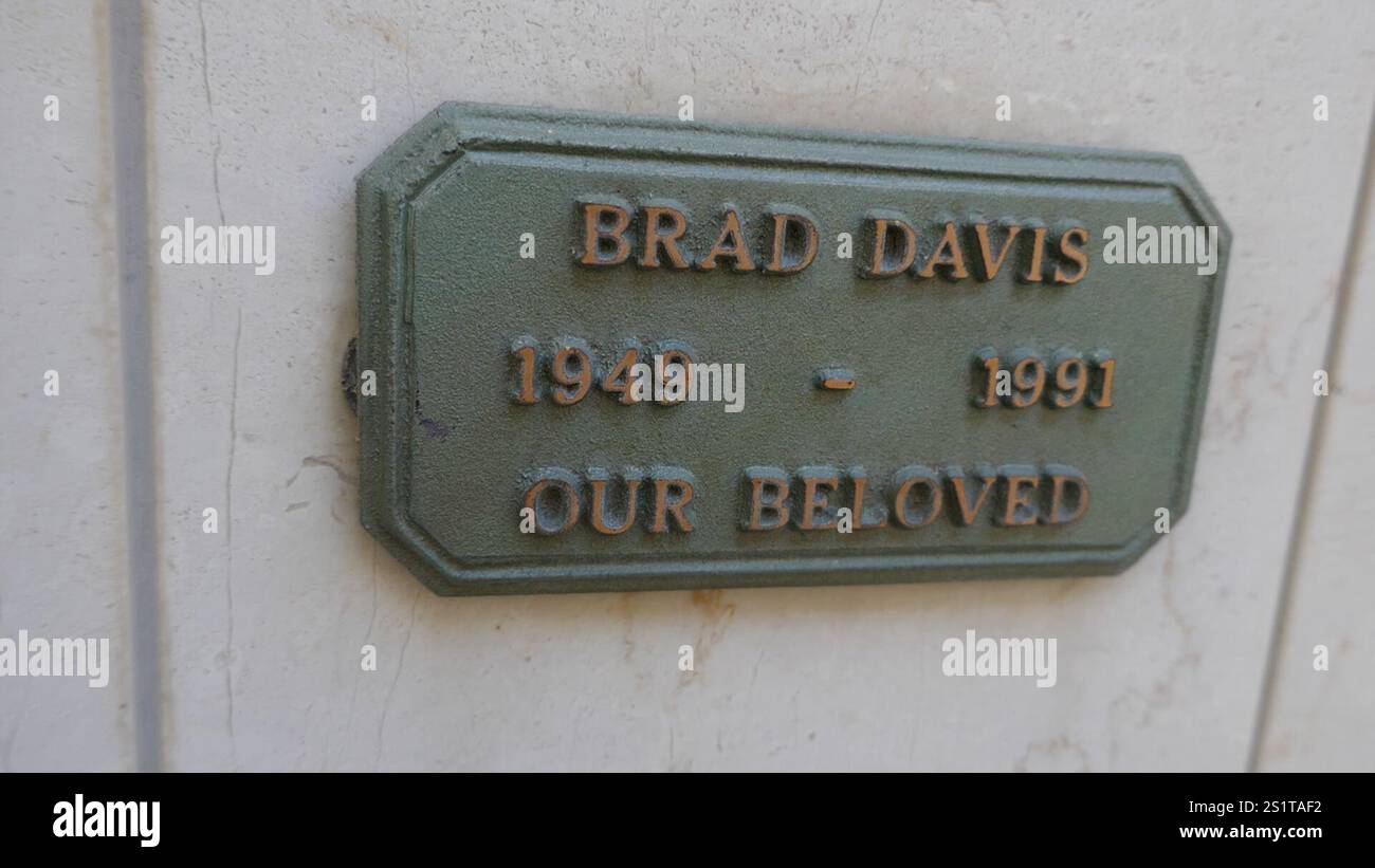 Los Angeles, California, USA 2nd January 2025 Actor Brad Davis Grave in ...
