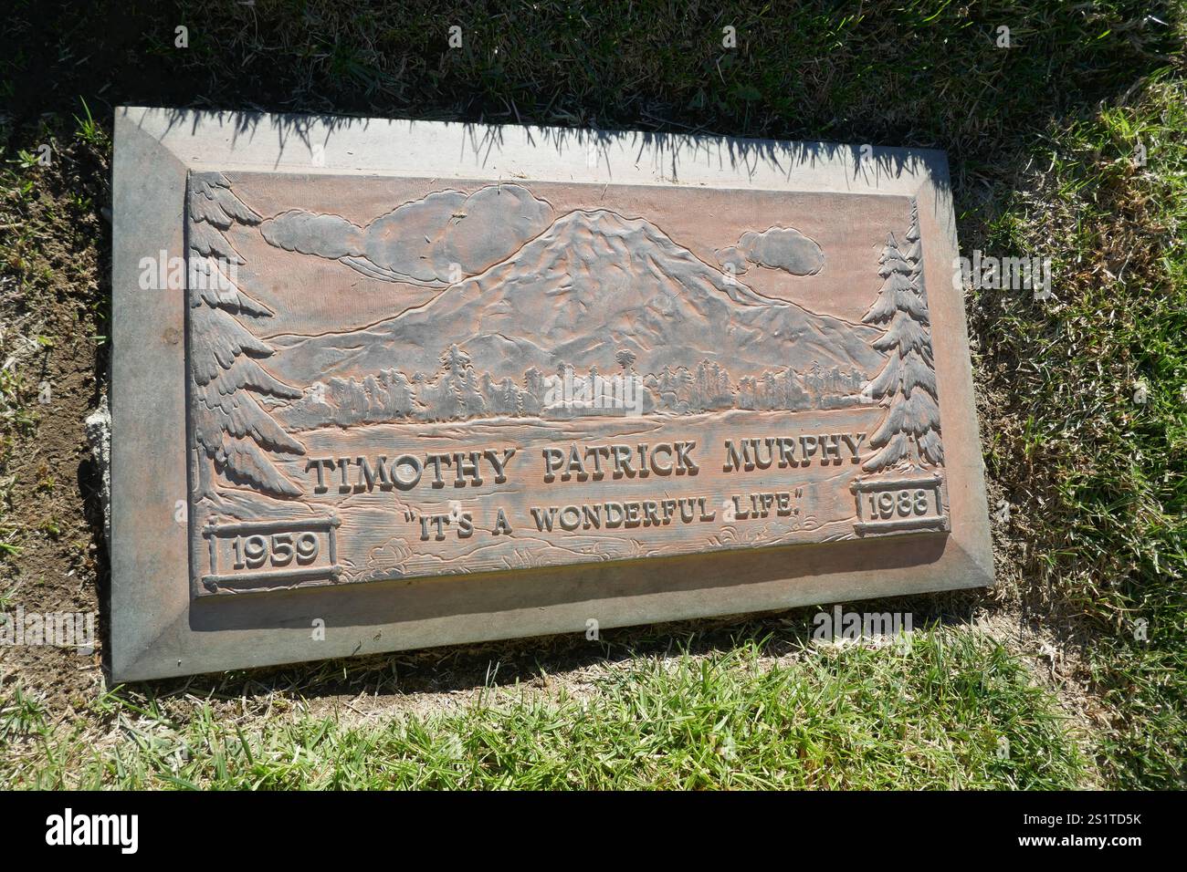 Los Angeles, California, USA 2nd January 2025 Actor Timothy Patrick ...
