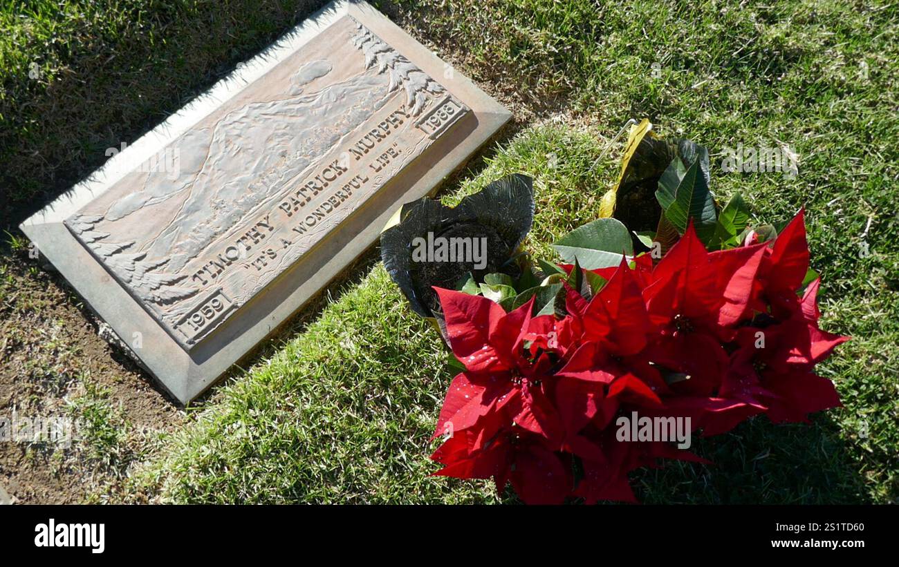 Los Angeles, California, USA 2nd January 2025 Actor Timothy Patrick ...