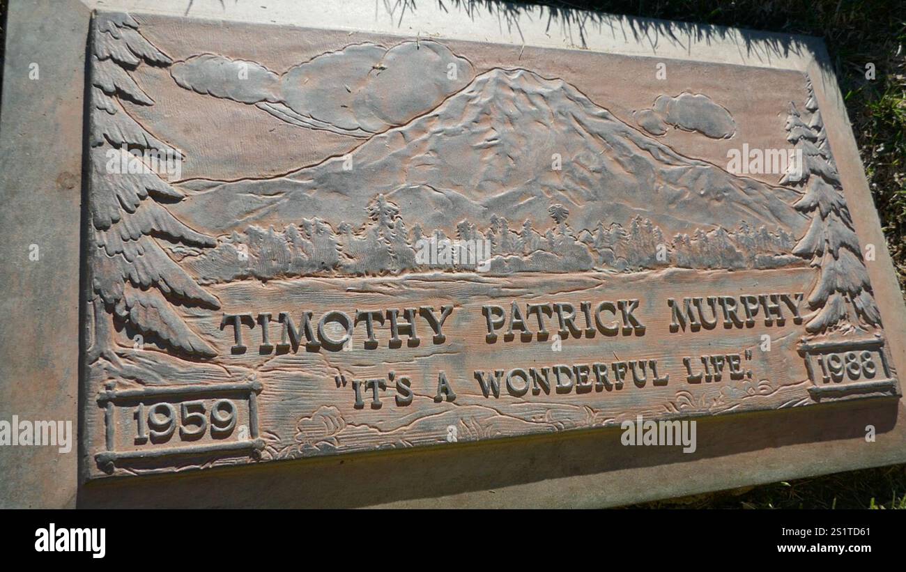 Los Angeles, California, USA 2nd January 2025 Actor Timothy Patrick ...
