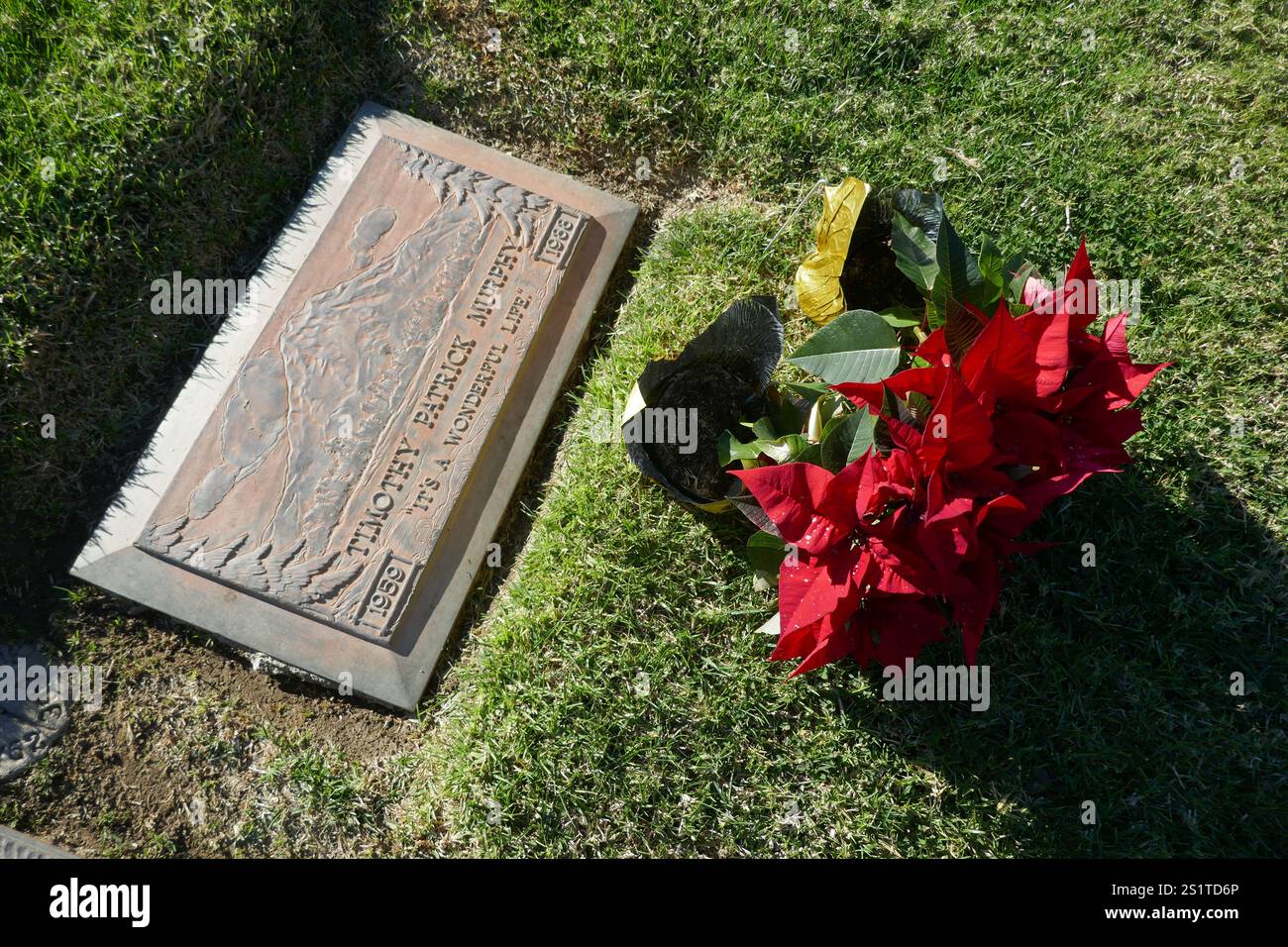 Los Angeles, California, USA 2nd January 2025 Actor Timothy Patrick ...