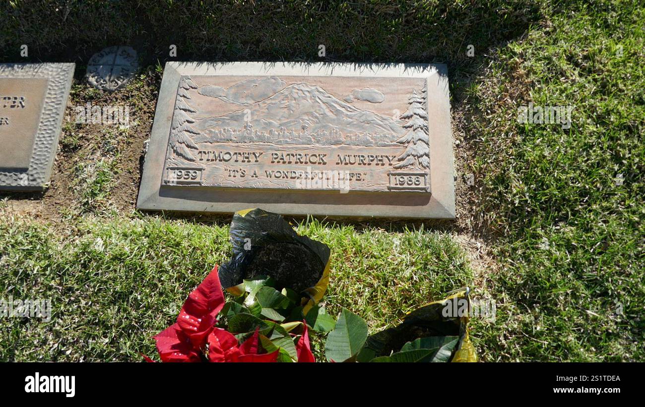 Los Angeles, California, USA 2nd January 2025 Actor Timothy Patrick ...