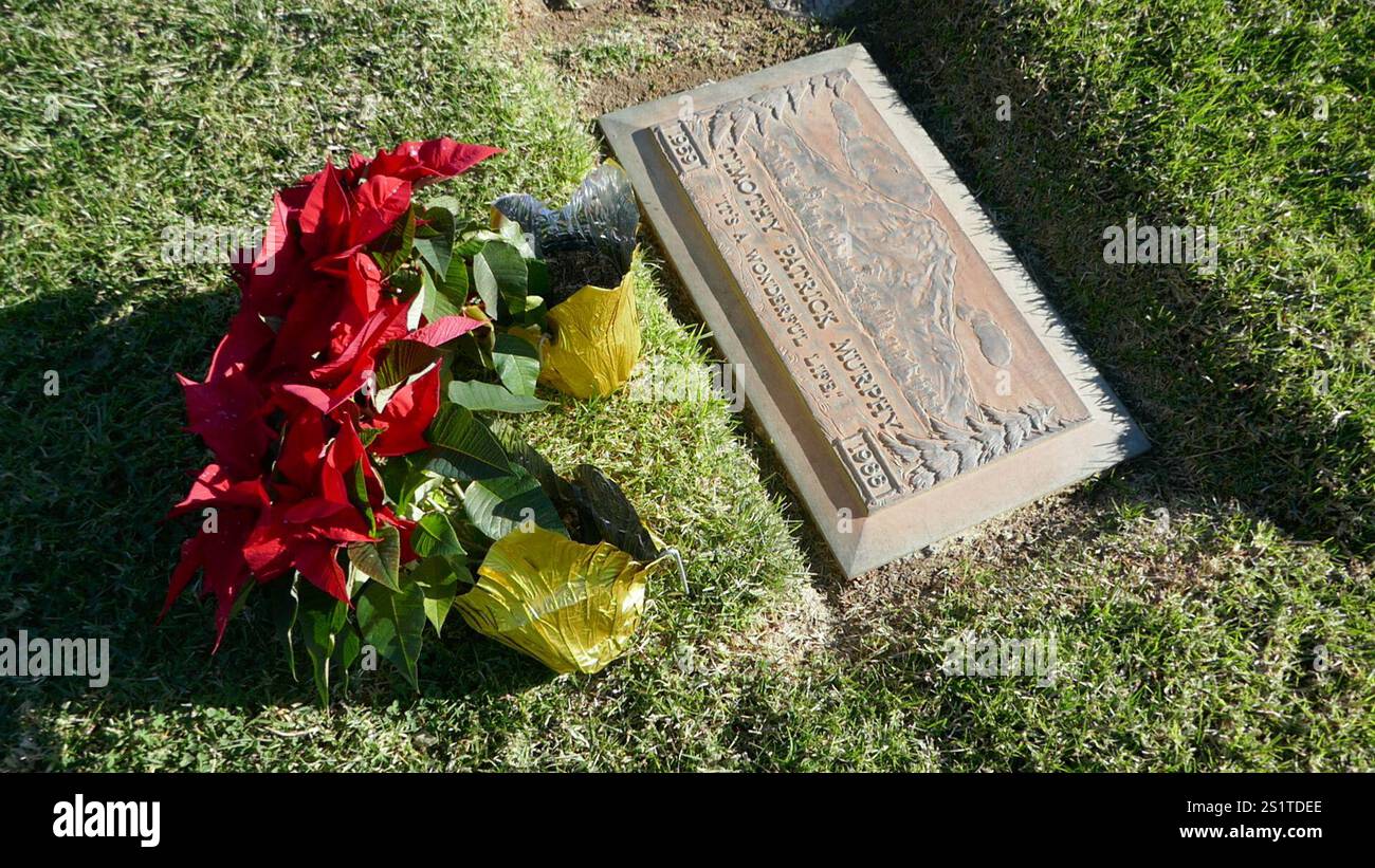 Los Angeles, California, USA 2nd January 2025 Actor Timothy Patrick ...